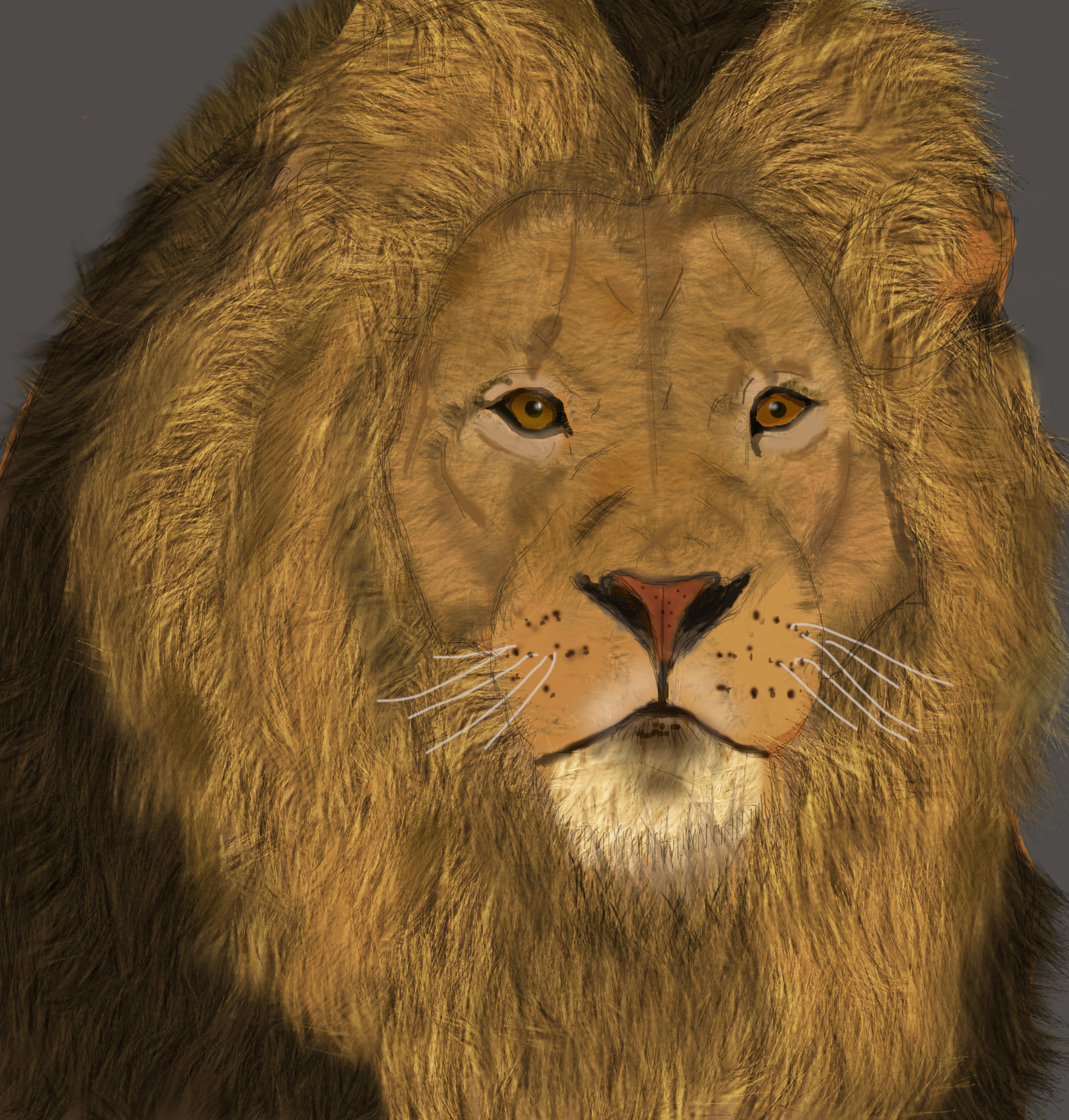 ArtStation - Lion Animal Potrait