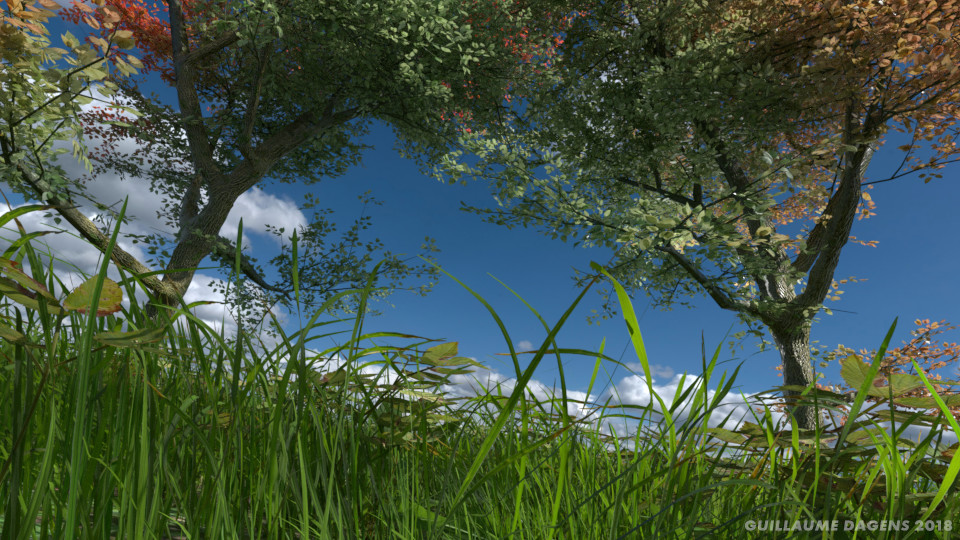 ArtStation - Nature Scene