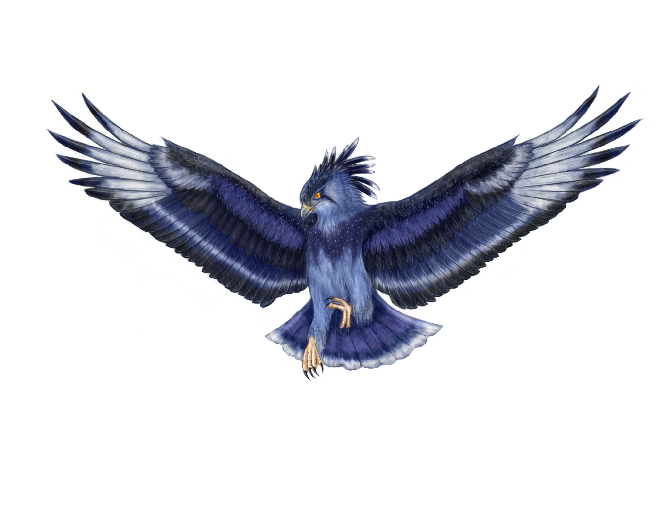 ArtStation - D&D Lunar Eagle - Elai