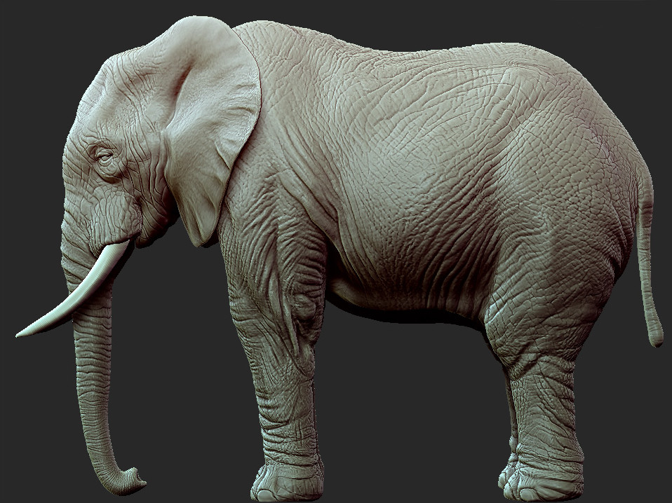 ArtStation - Elephant