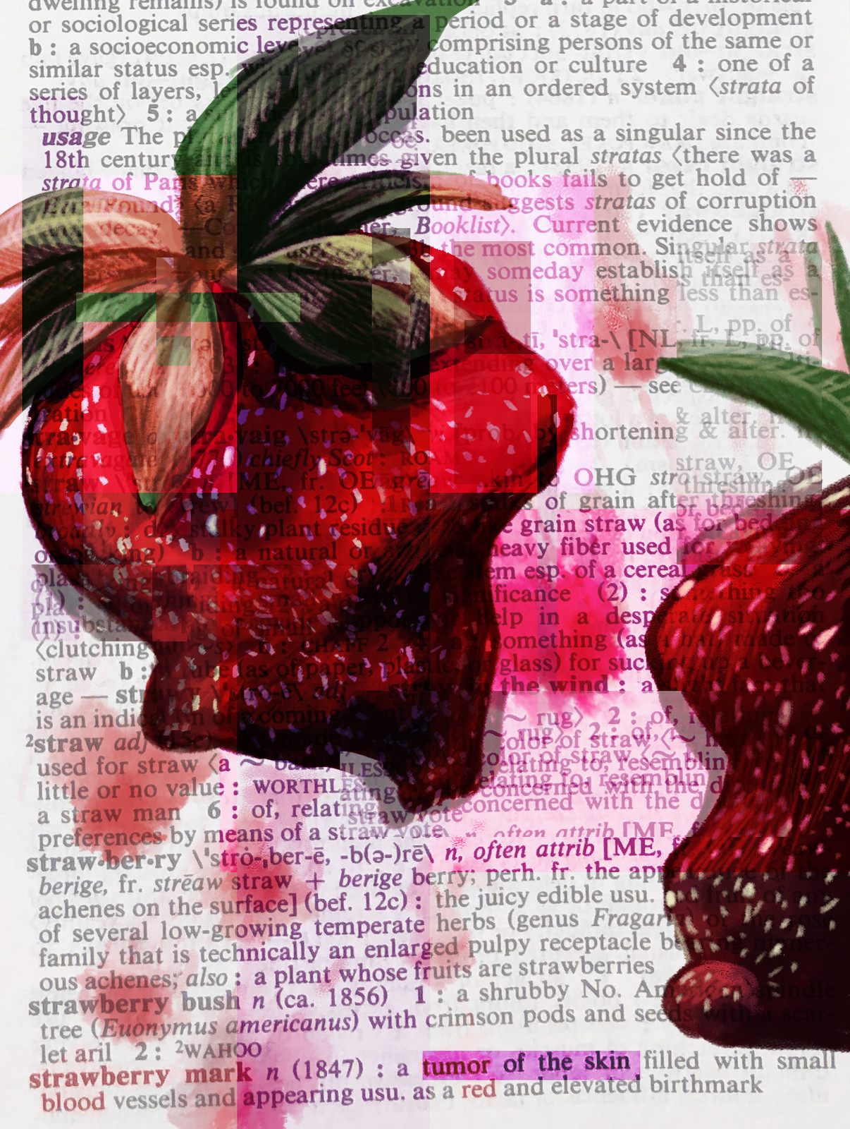 Sinclair King - Strawberry Mark