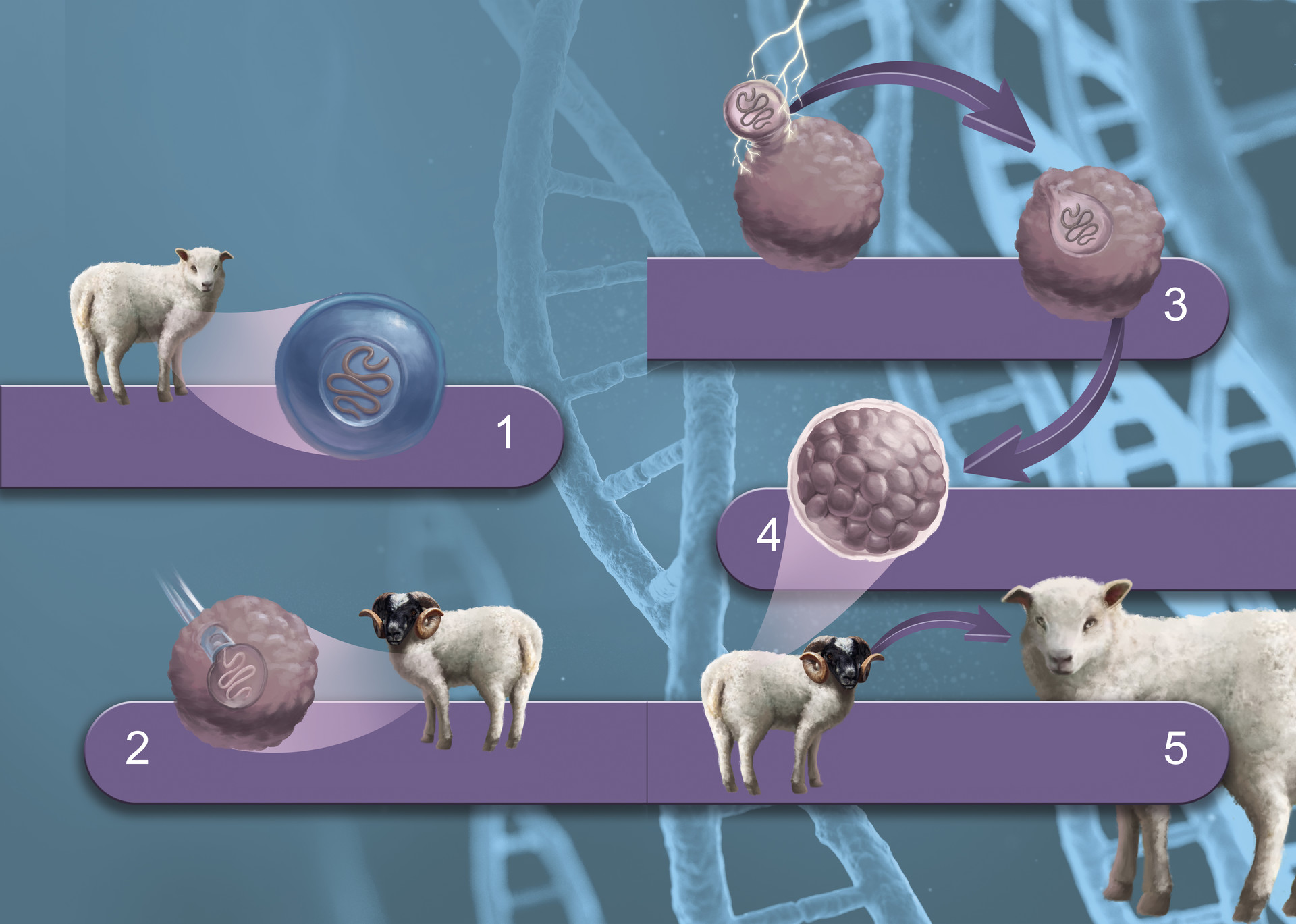 ArtStation - Cloning steps