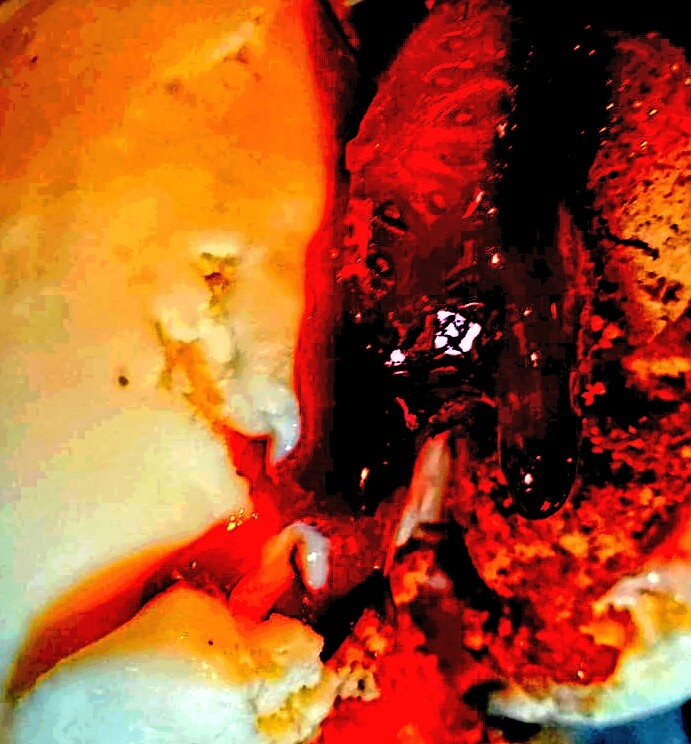 Terry Herbert - Creatures of Mu