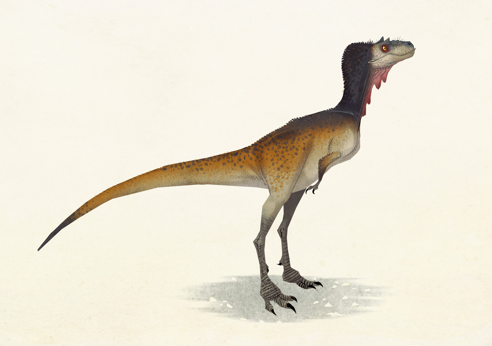 JOHAN EGERKRANS - Tyrannosauroids