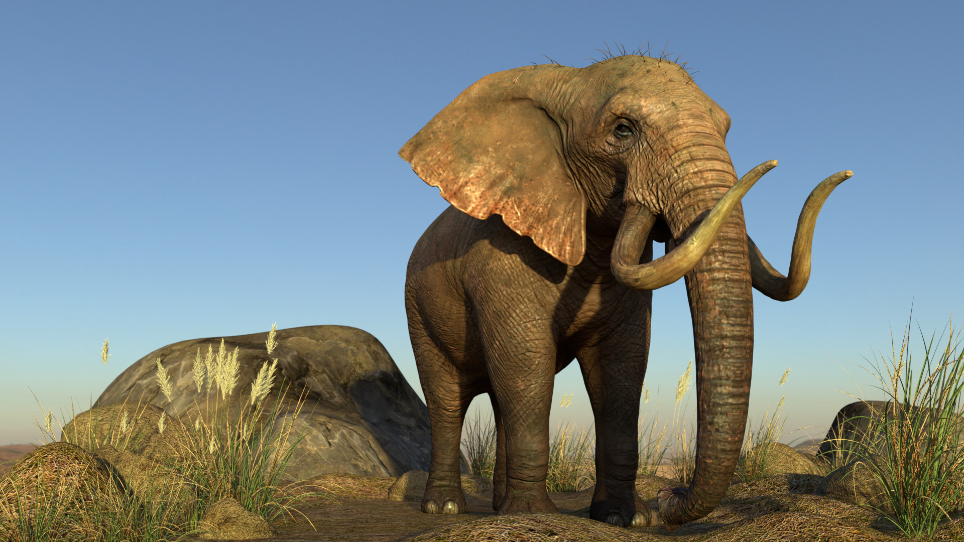 ArtStation - African Elephant