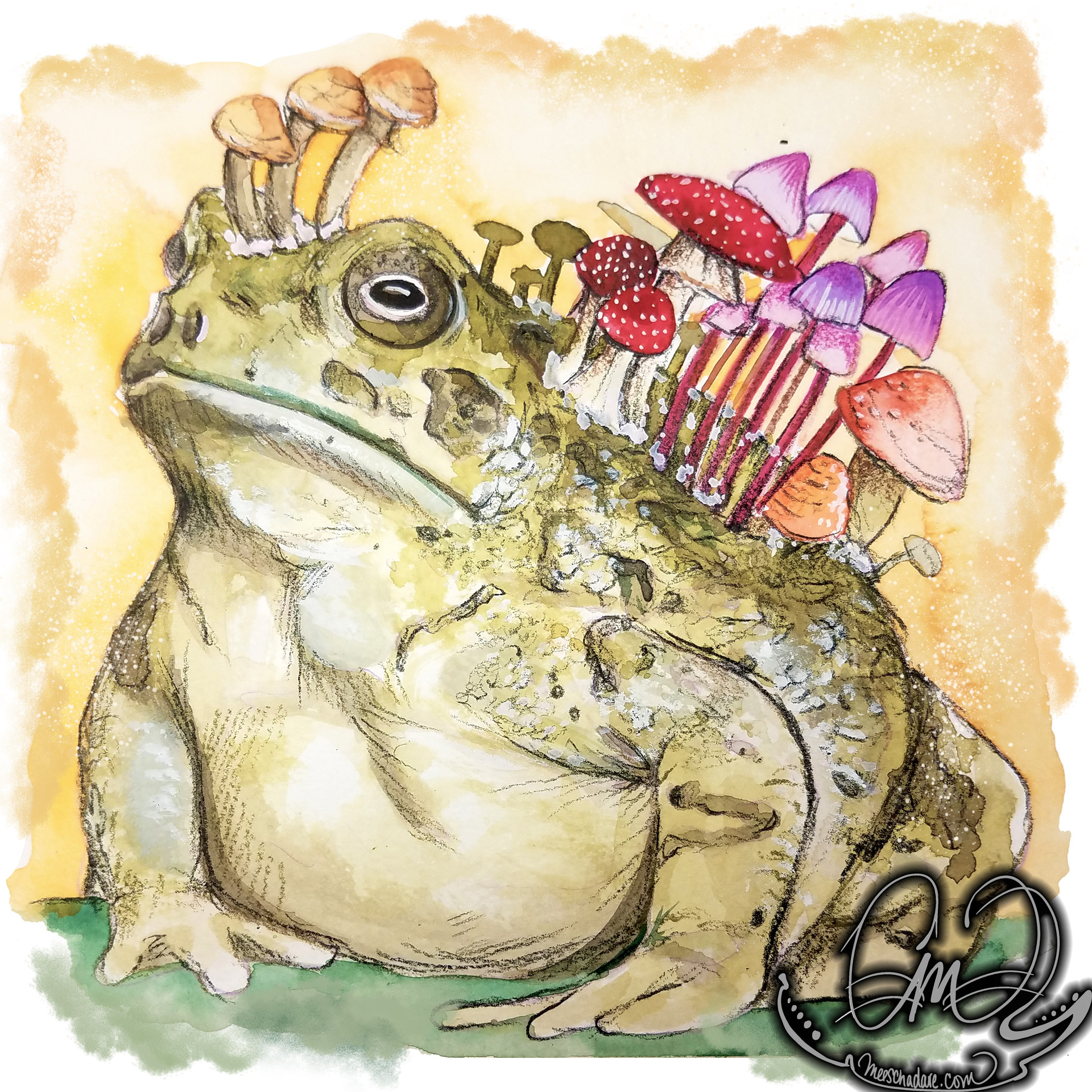 ArtStation - Mushroom Toad