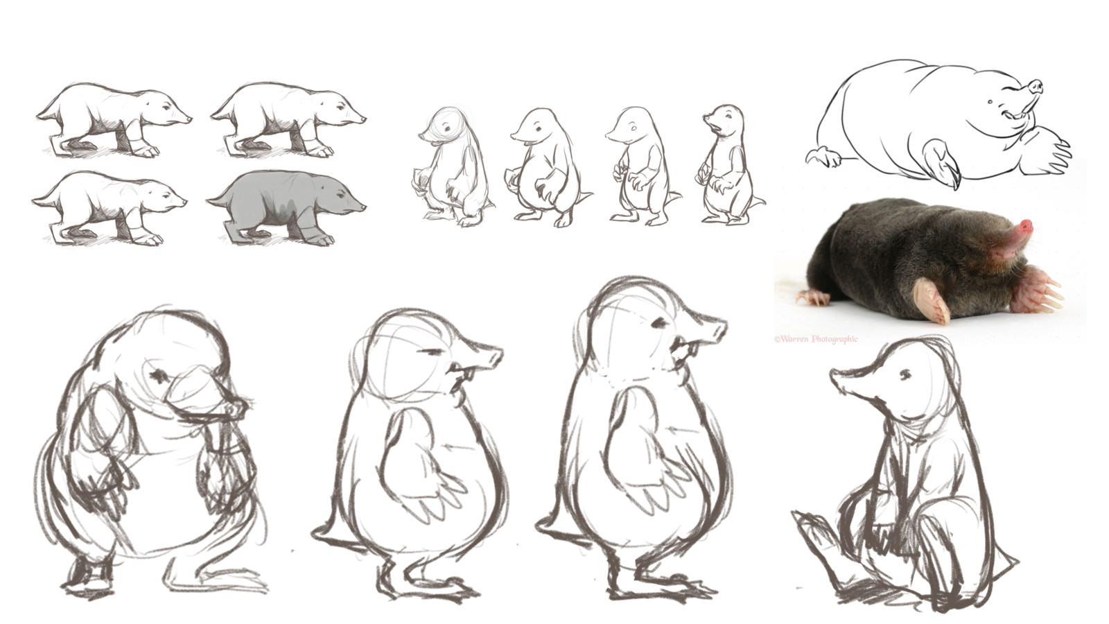 Erin Marantette - Redwall: Moles