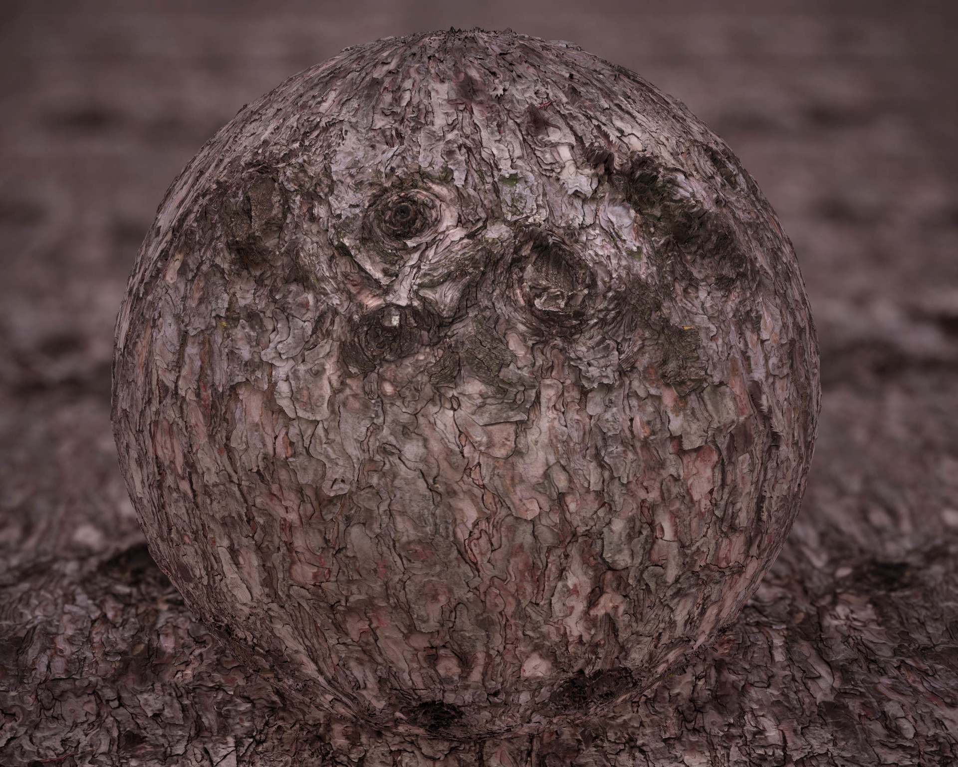 ArtStation - Pine Bark - Photogrammetry Texture