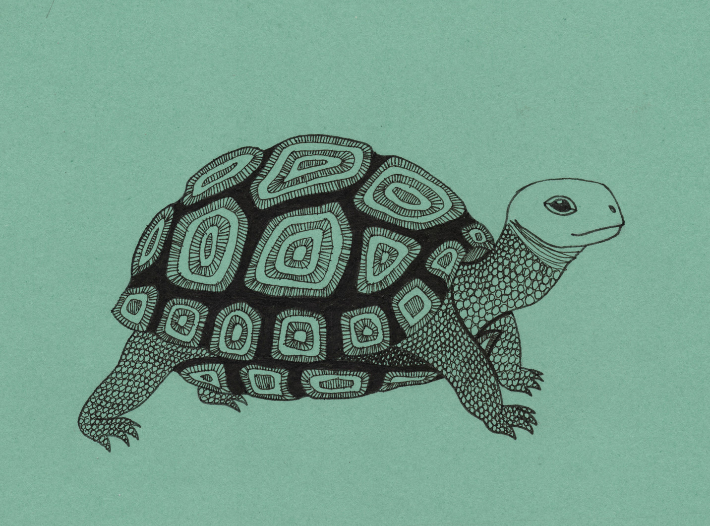 ArtStation - Animals. Green