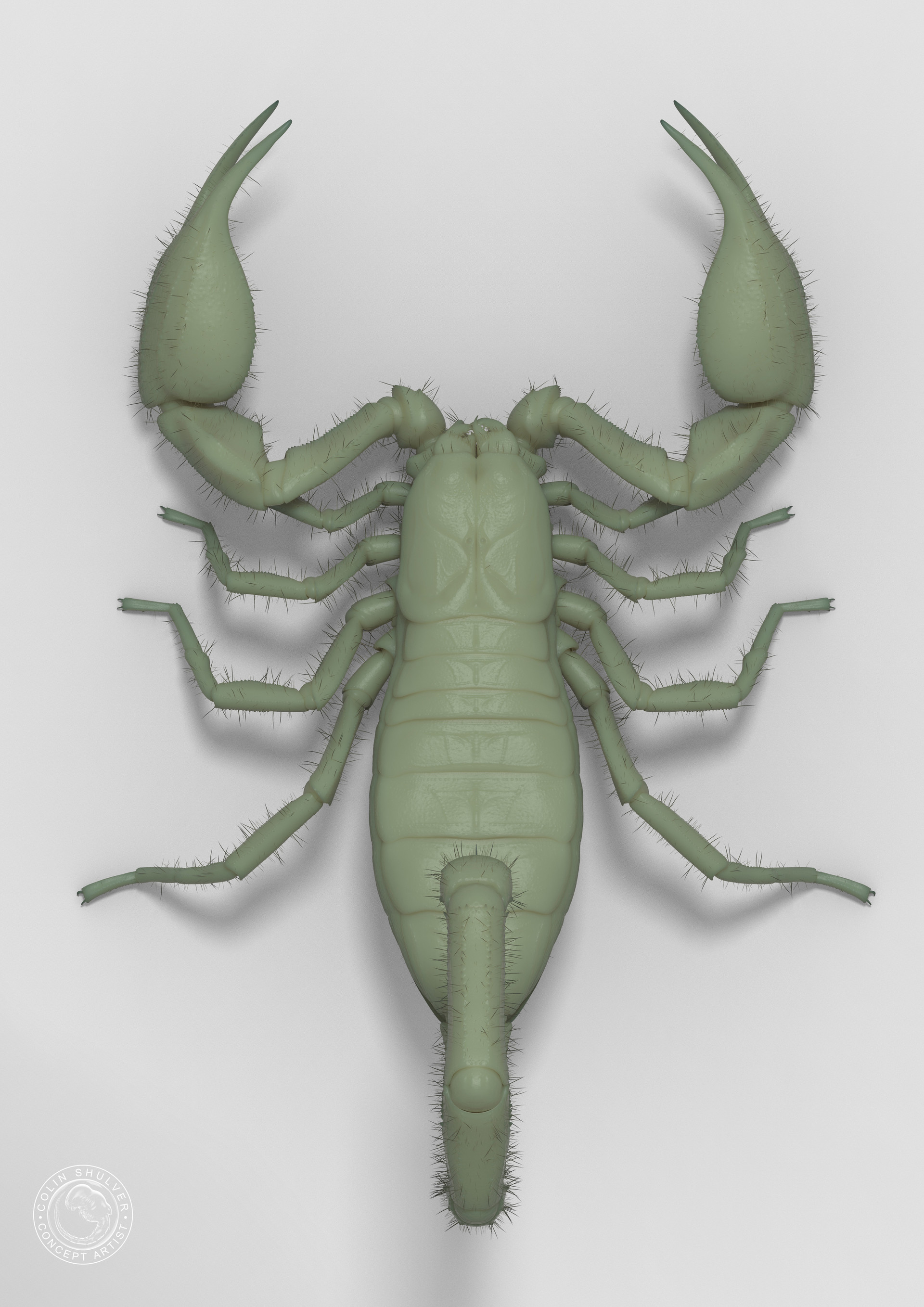 COLIN SHULVER - Scorpion