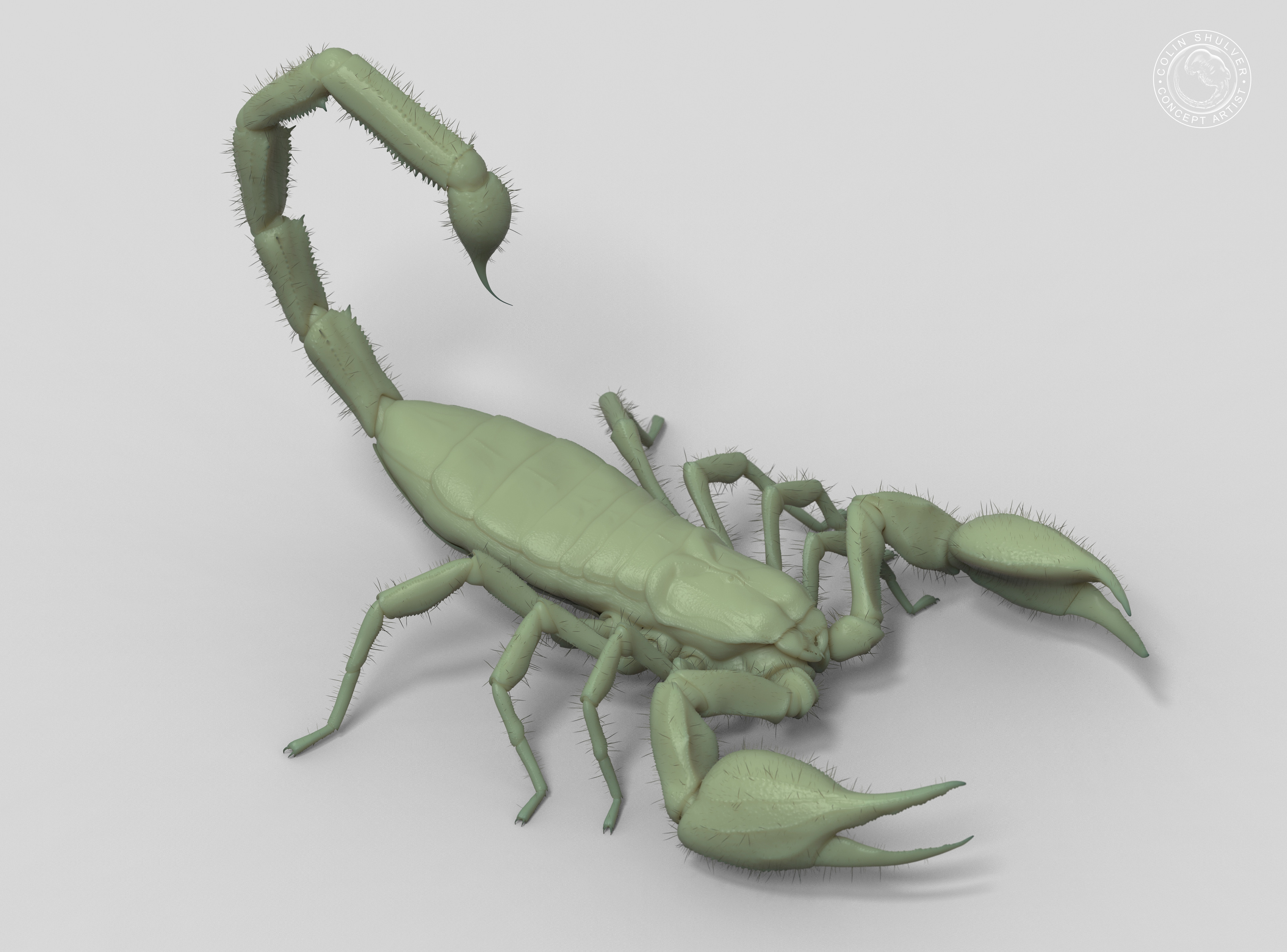 COLIN SHULVER - Scorpion