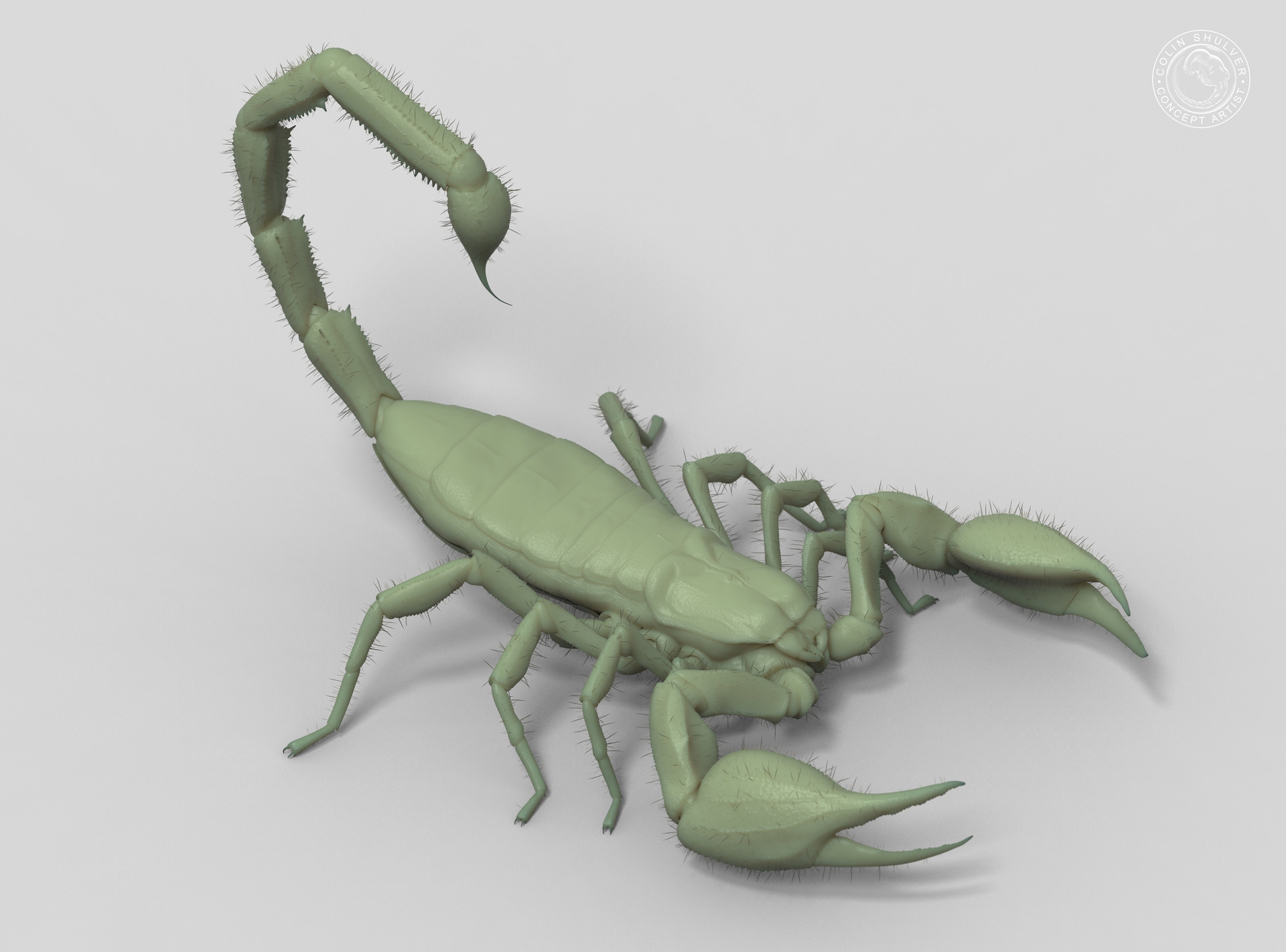 COLIN SHULVER - Scorpion