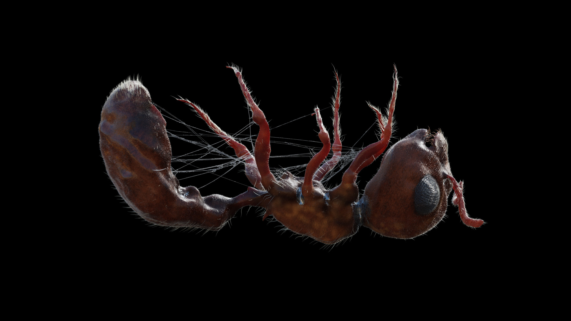 ArtStation - Metal death