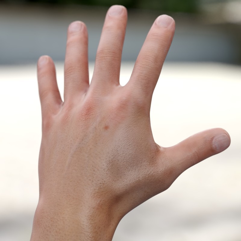 Male Hand Model