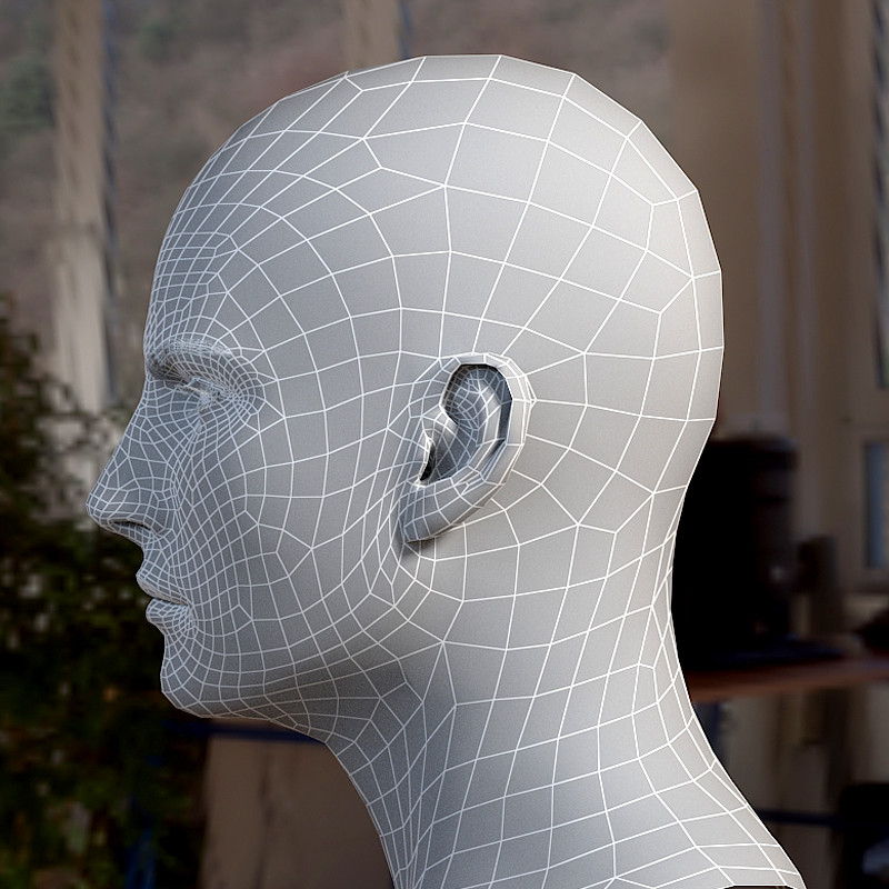 Stephan Plotnicov - 3d model human head male v6