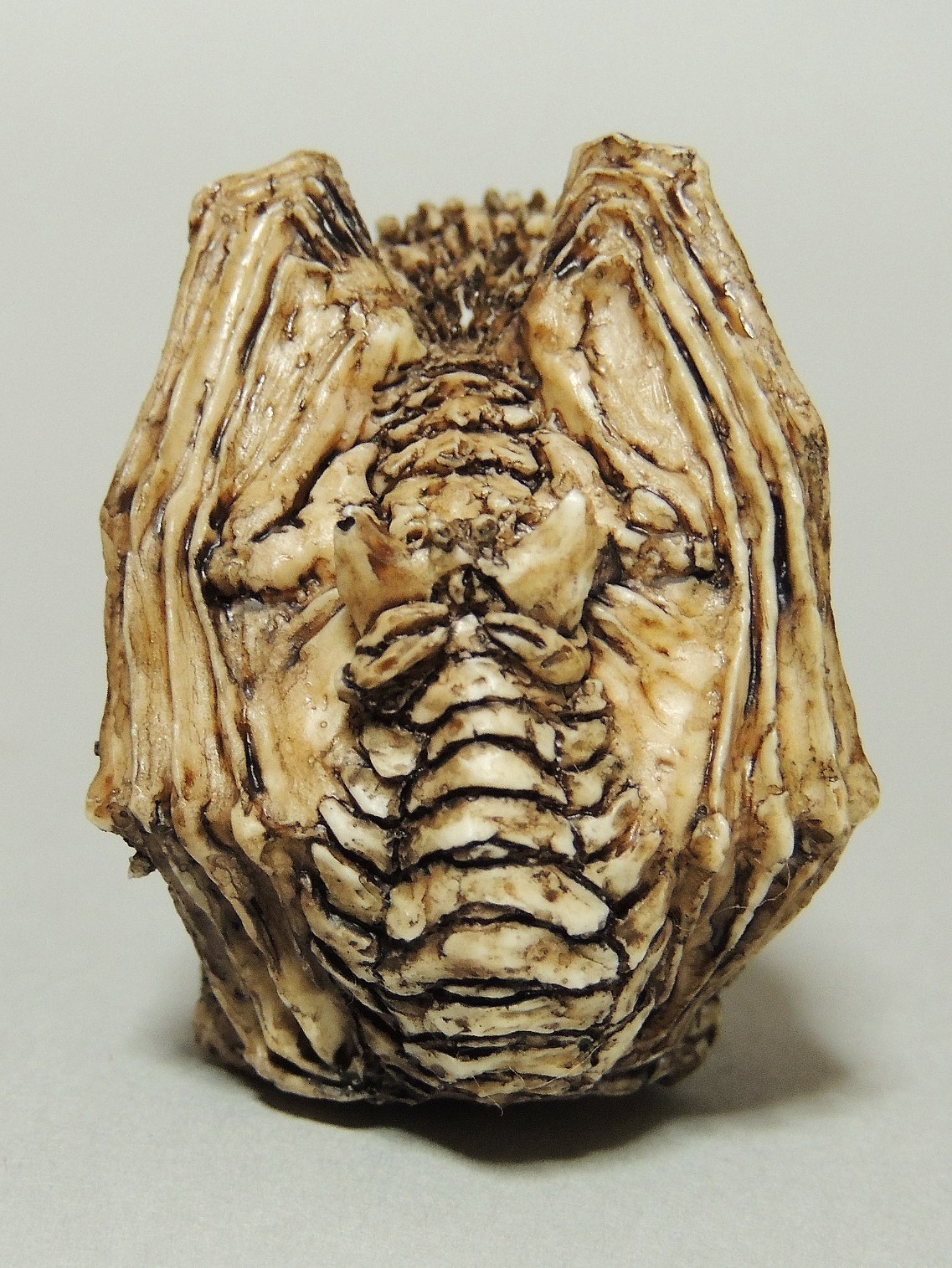 Masazumi Matsumoto - ちび・グリフォン/CHIBI GRYPHON