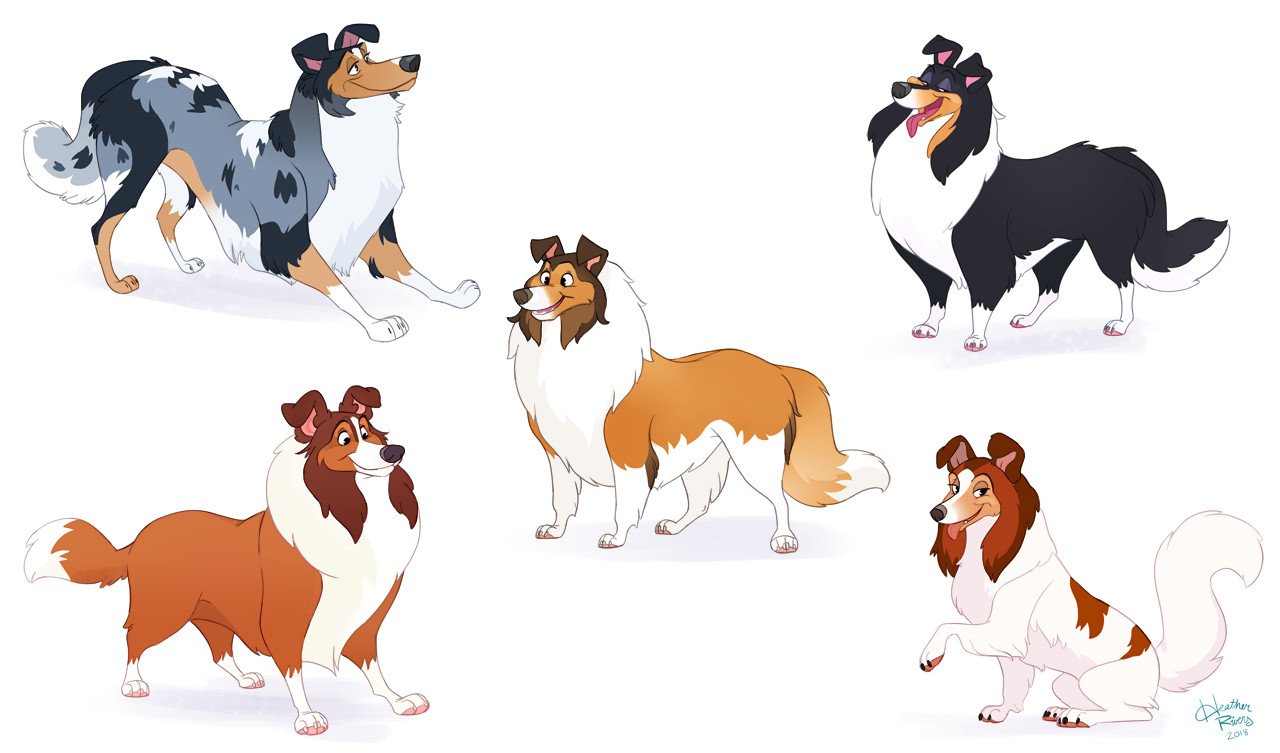 rough collie drawing
