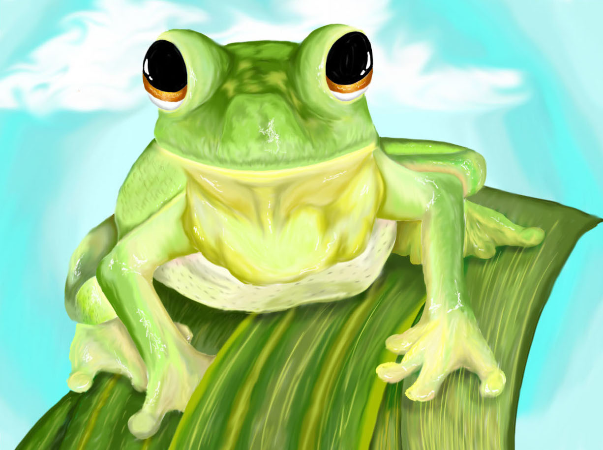 ArtStation - My First Frog