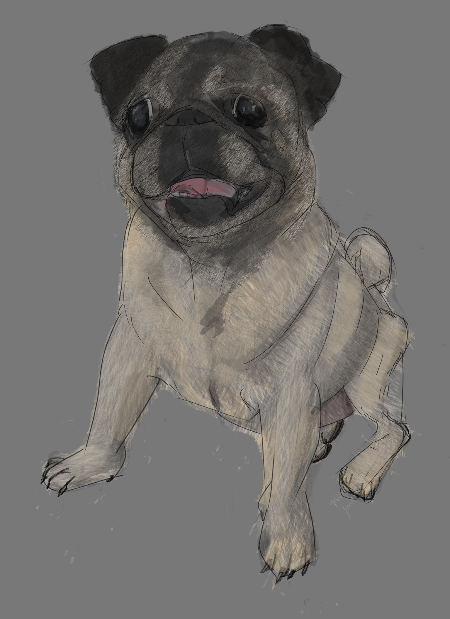 ArtStation - A Pug