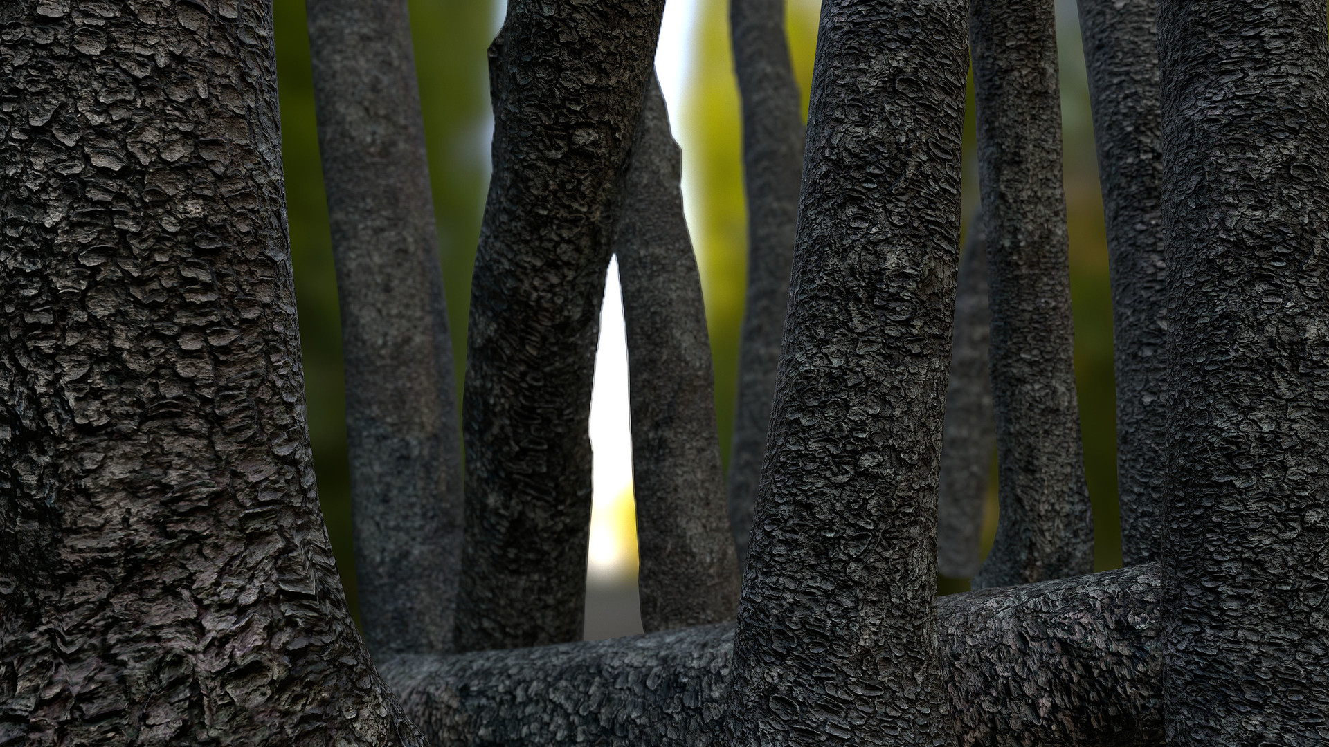 Robin Albertsson - Spruce Bark03 - Photogrammetry based Texture From ...