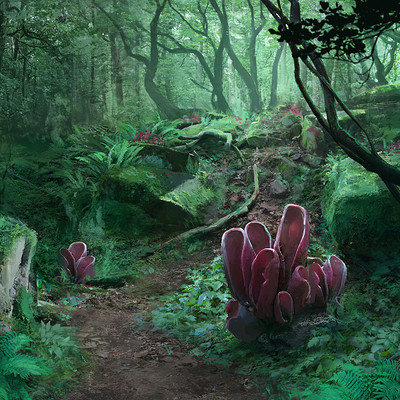 Magdalena Świderska (pumaxen)