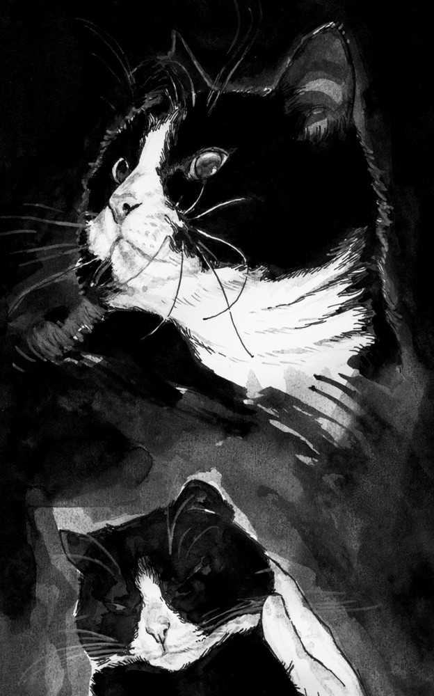 David Blatt - INKTOBER 2018 (THREAD)