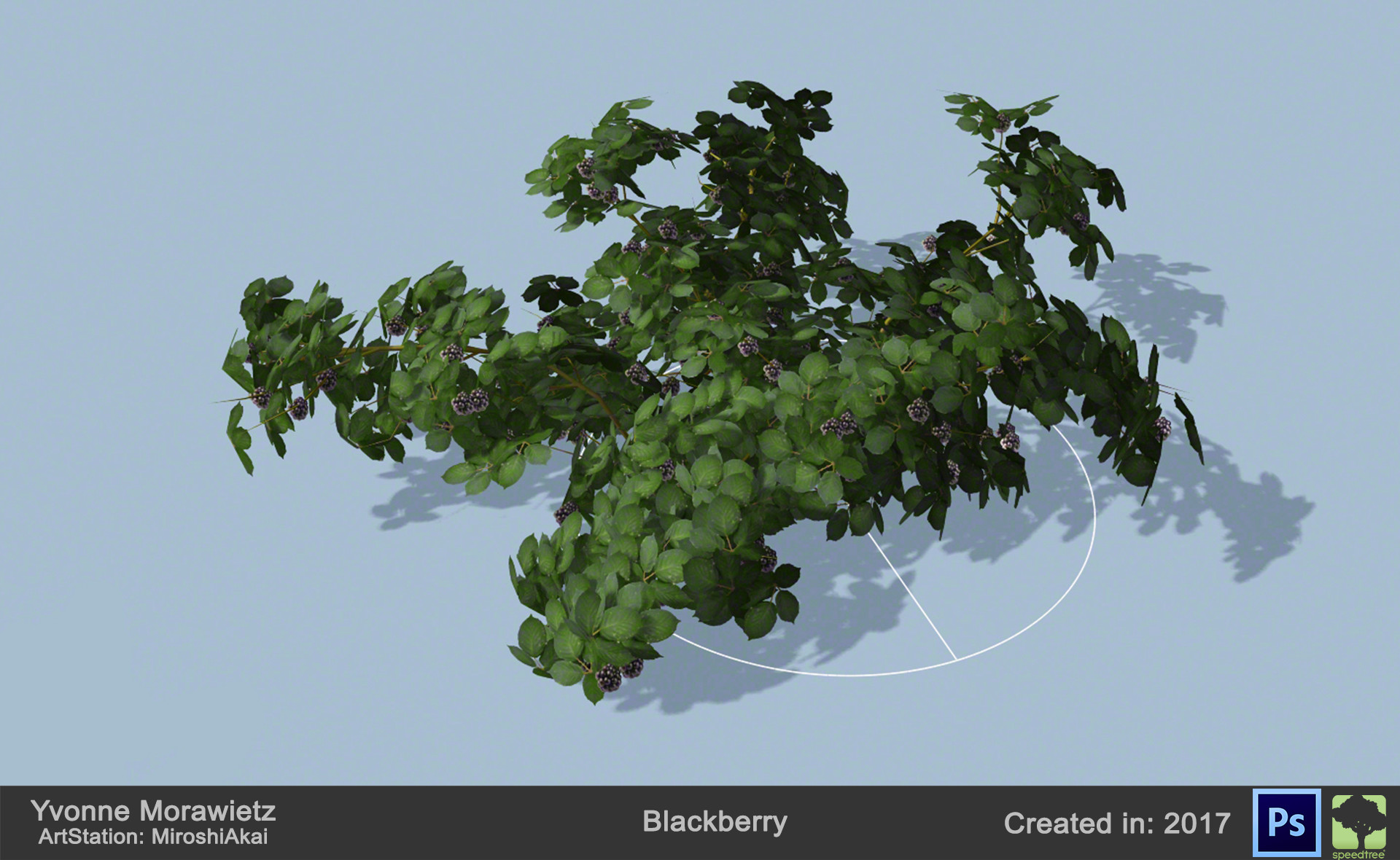 ArtStation - Blackberry Bush