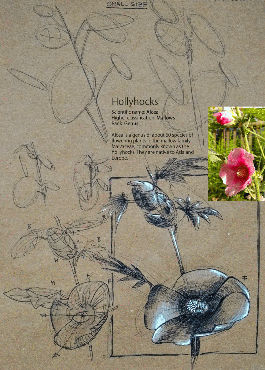 ArtStation - cgma_ds1_plantstudies 1