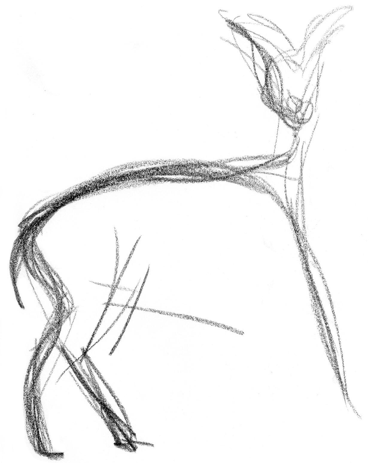 Stephen Studyvin - Sketching & drawing