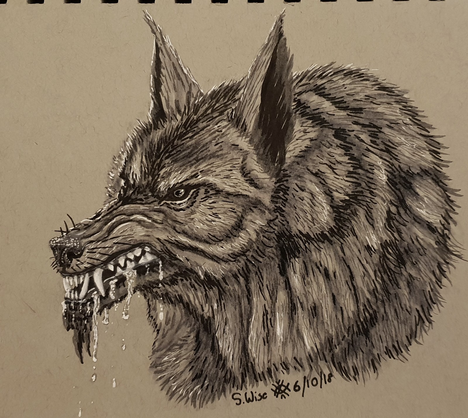 Samantha Wise - Inktober 2018