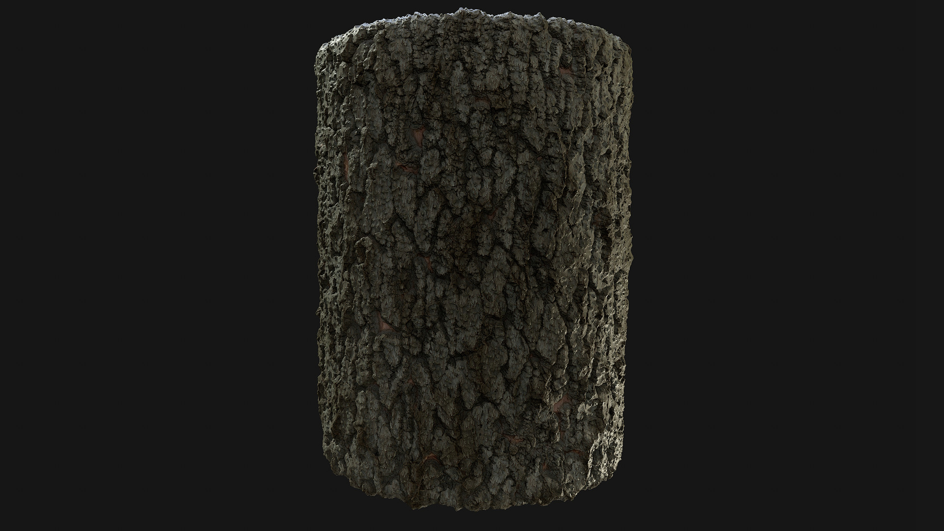 spruce tree bark texture