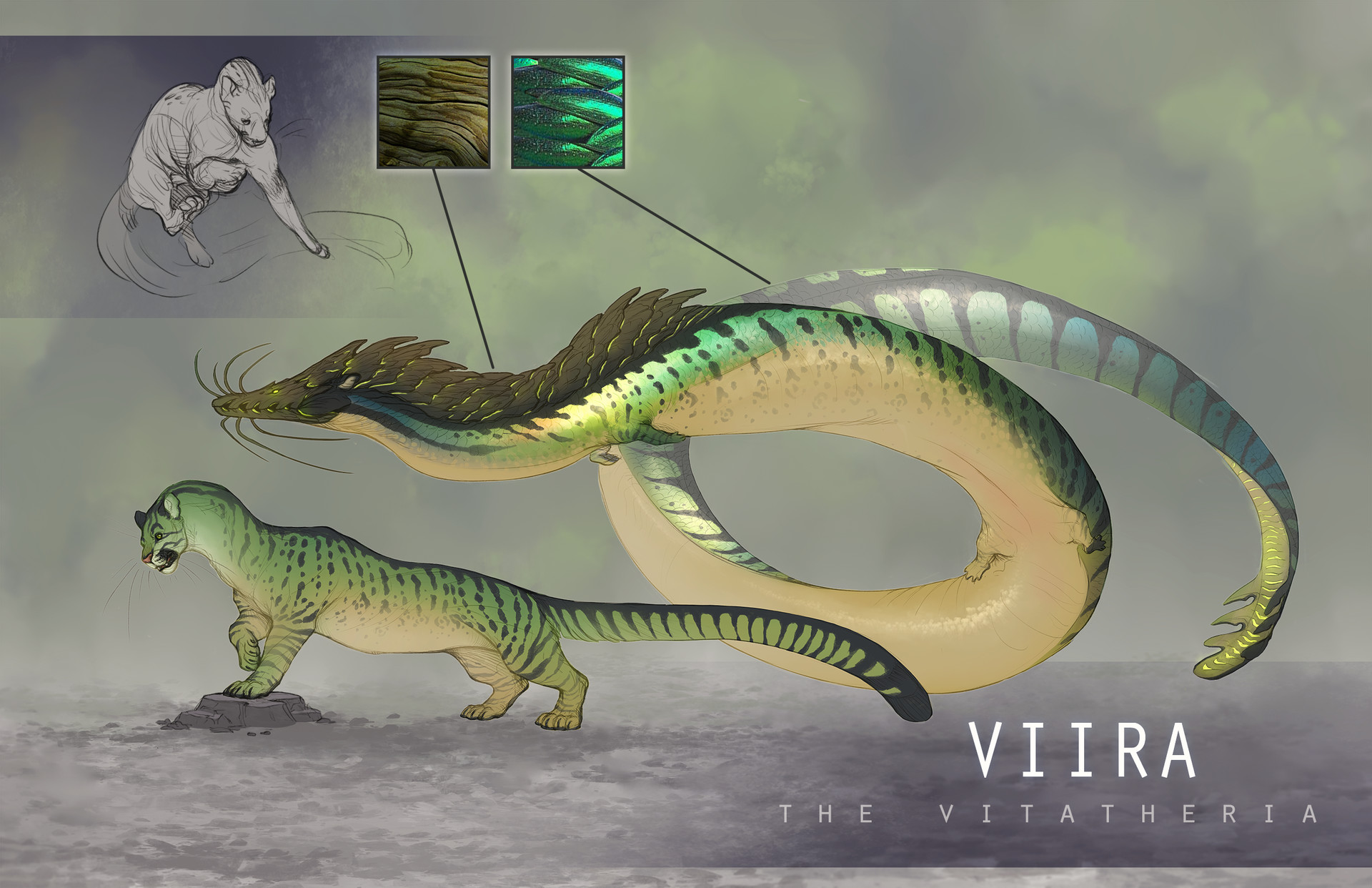 ArtStation - Viira the Vitatheria