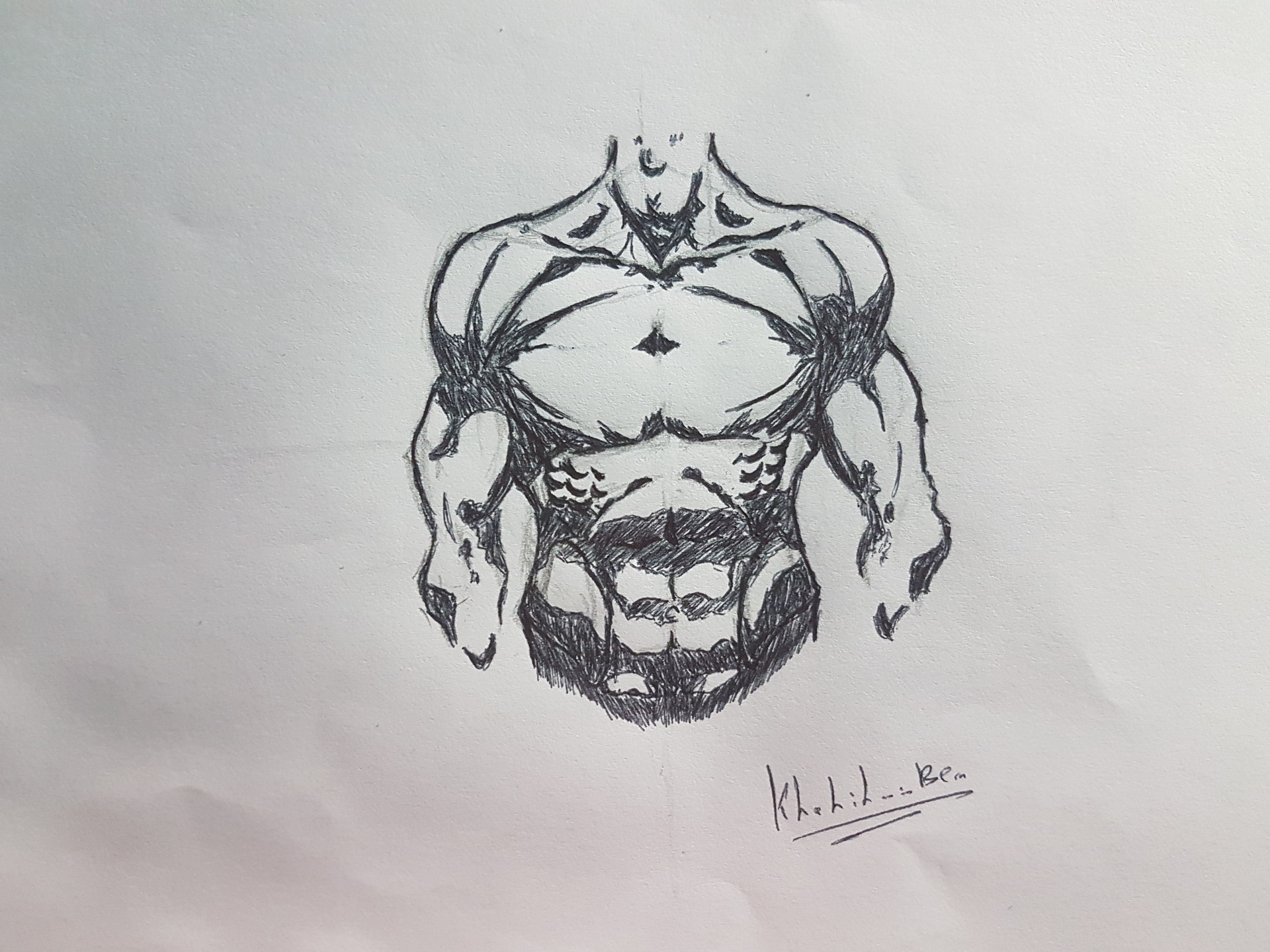 how to draw torso zhc