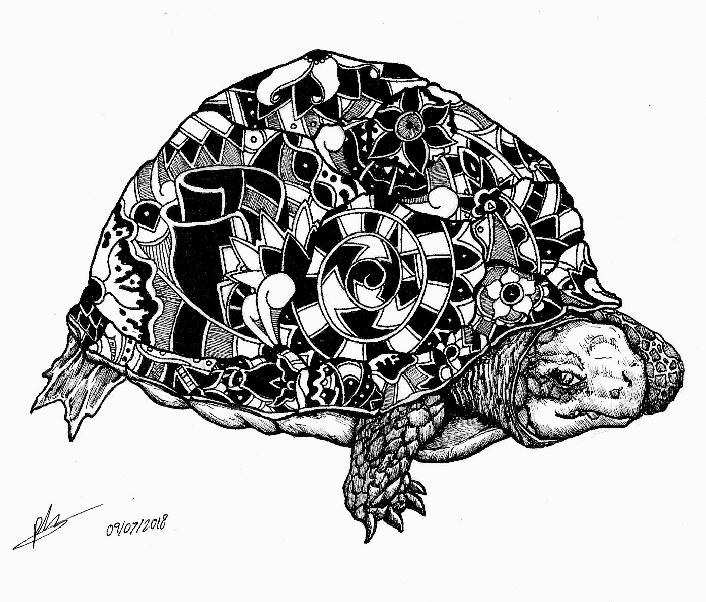 animal pattern drawing