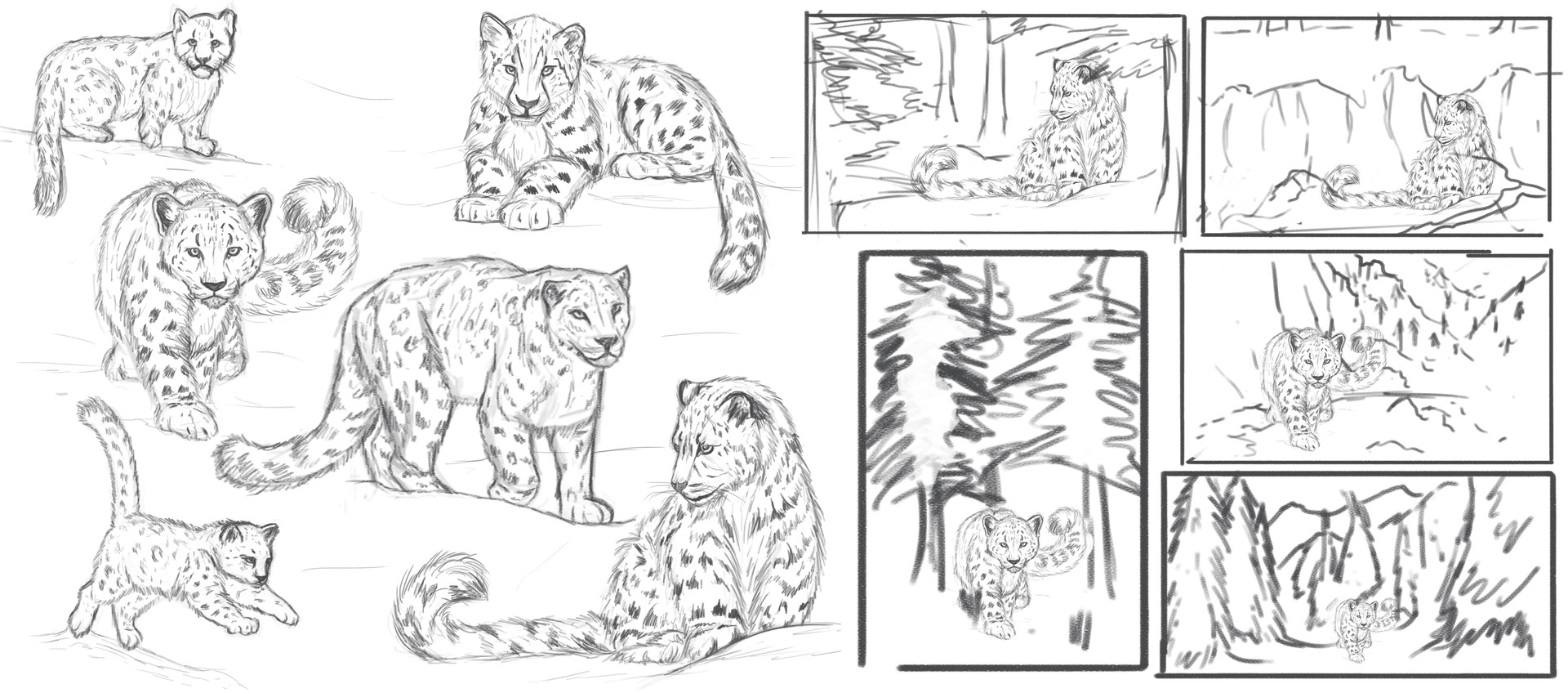 snow leopard coloring book