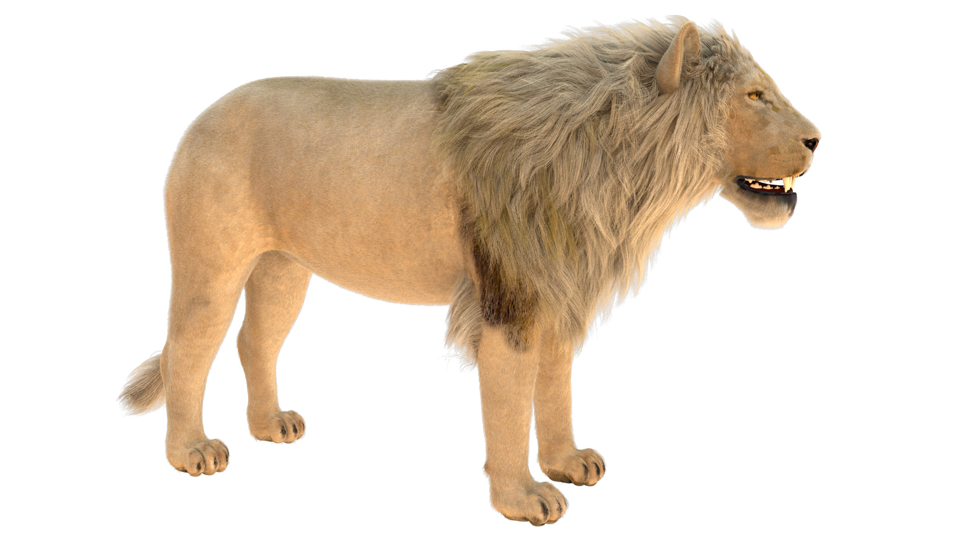 ArtStation - FUR TEST