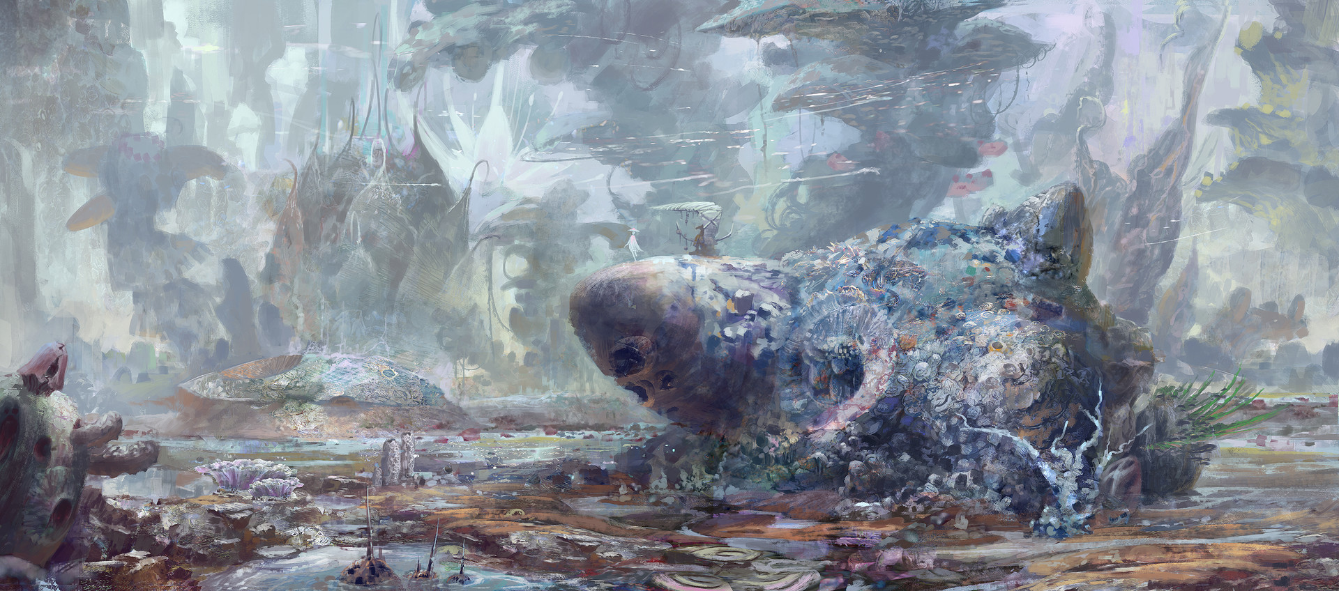 Ky Tran - Watching the Coral Bloom