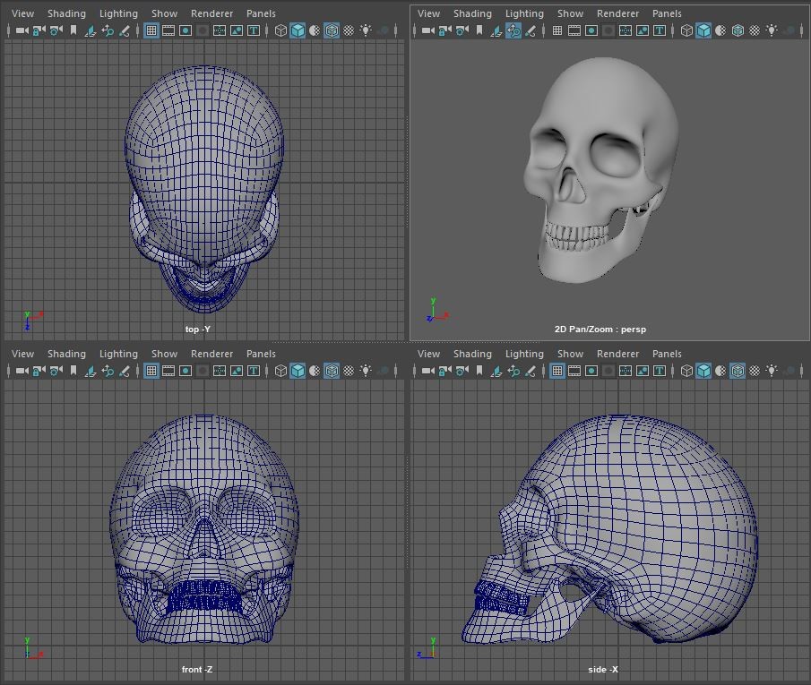 Jose Marcano - Human Skull