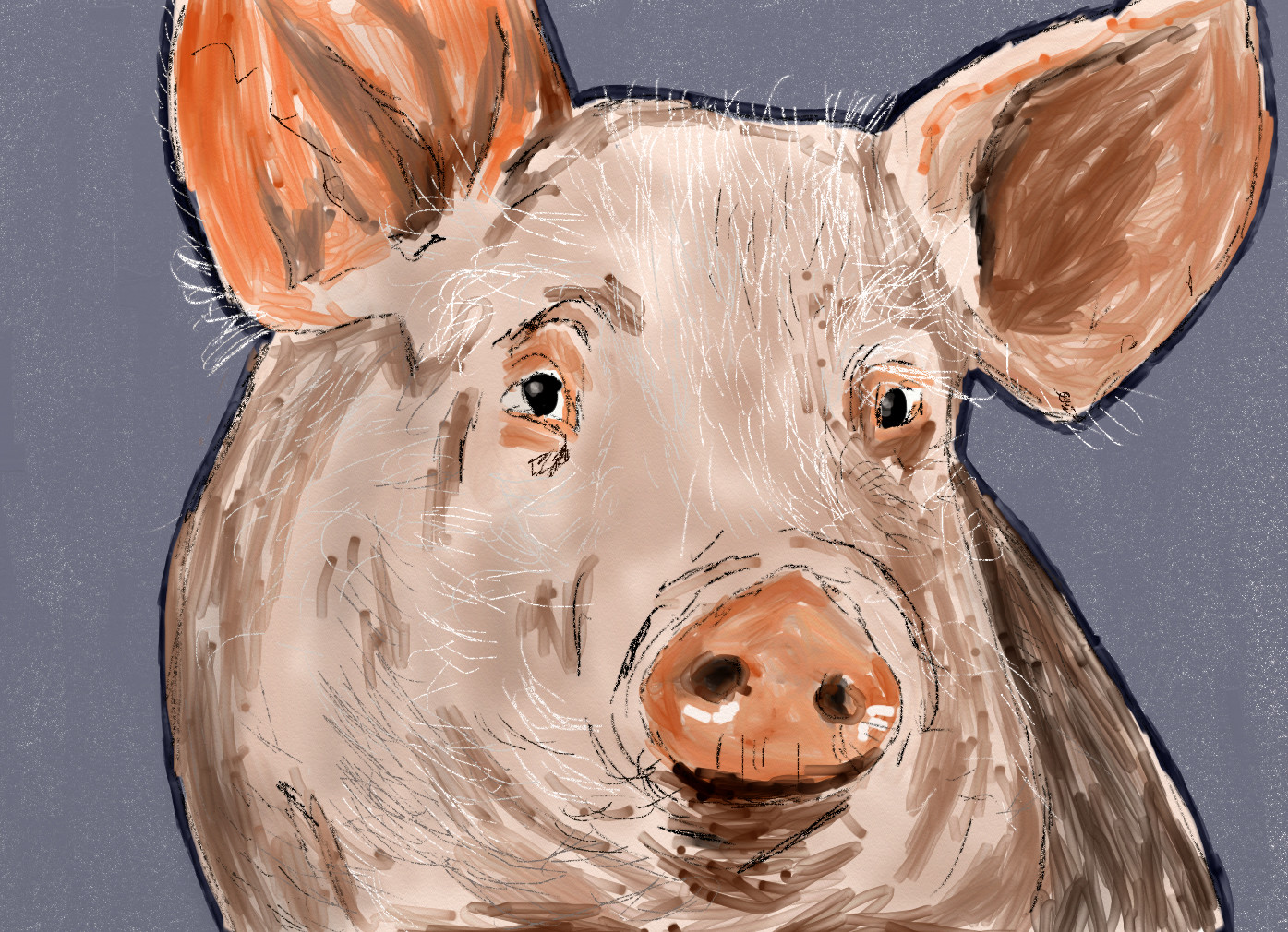 ArtStation - The Pig