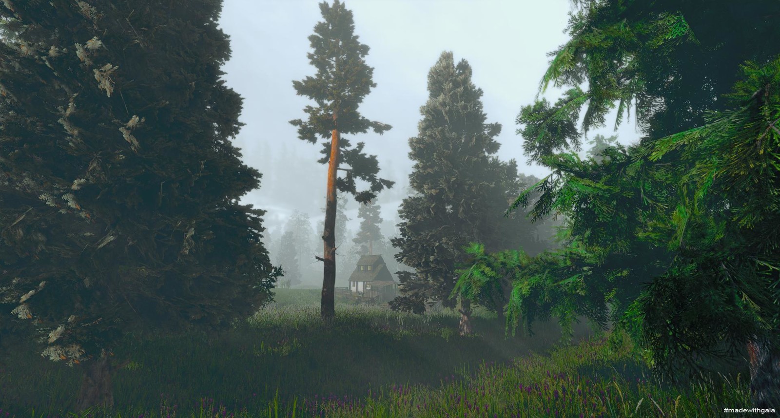 Adam Goodrich Unity Environments