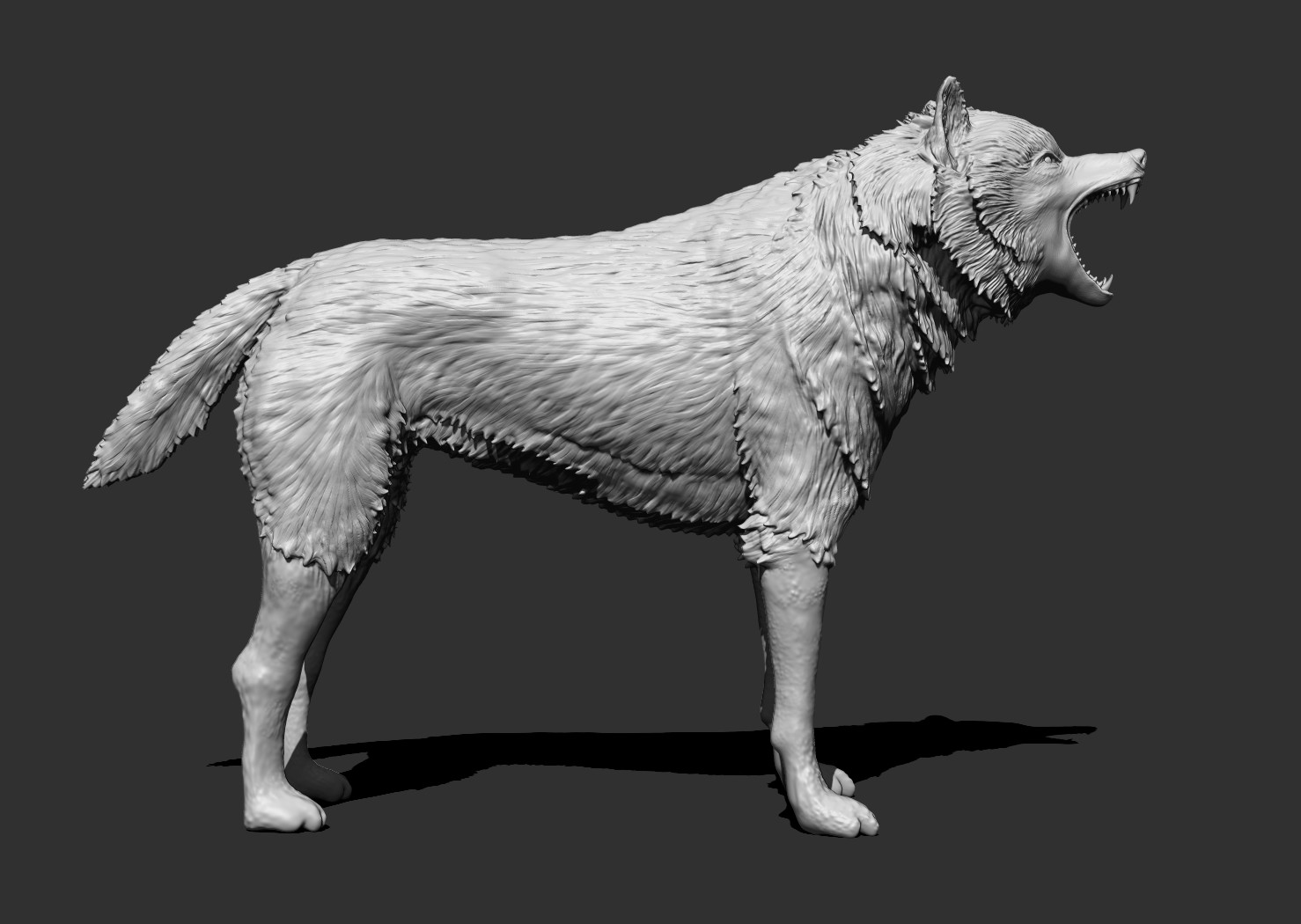 Chris J Knight - Wolf - Zbrush Sculpt