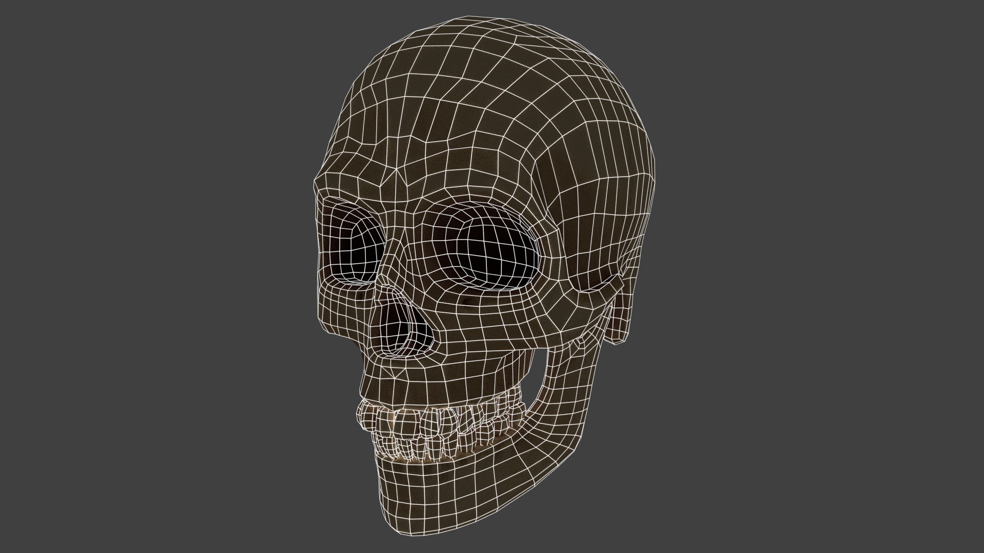 Daniel Lister - Skullpture