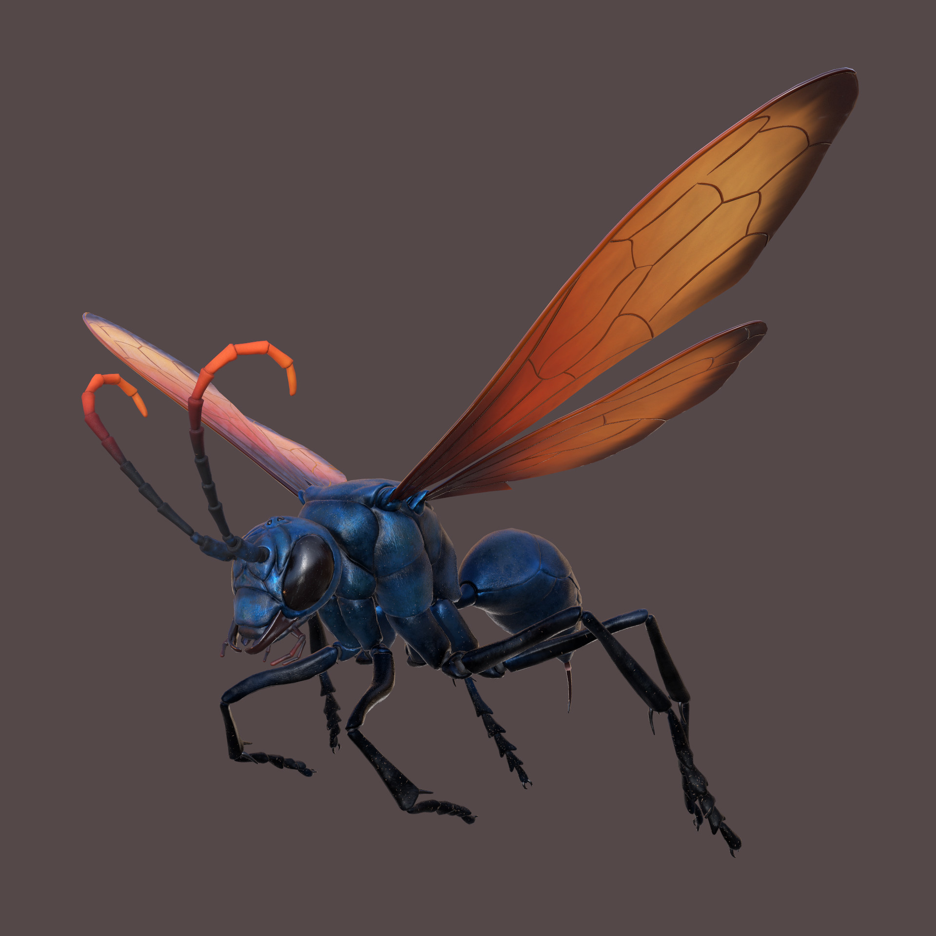 tarantula hawk cartoon