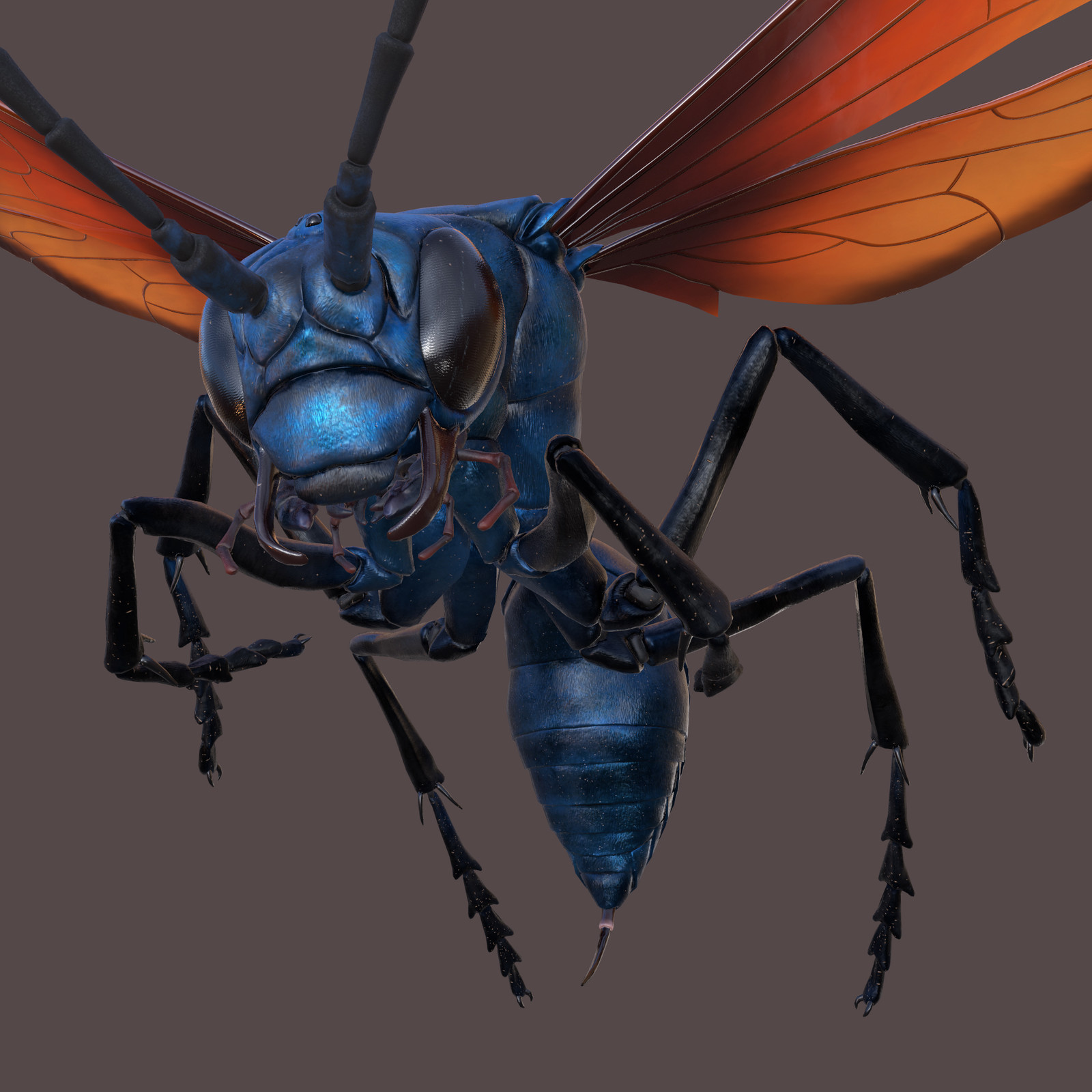 Chris Alford - Tarantula Hawk