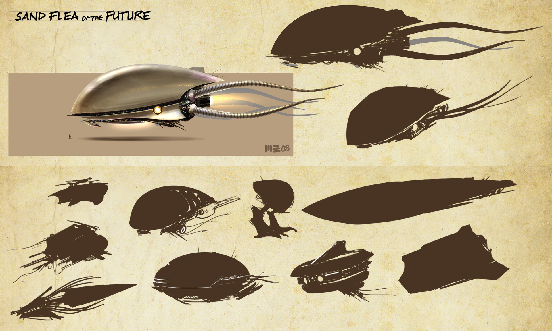 Matthew Eng - Sand Squid