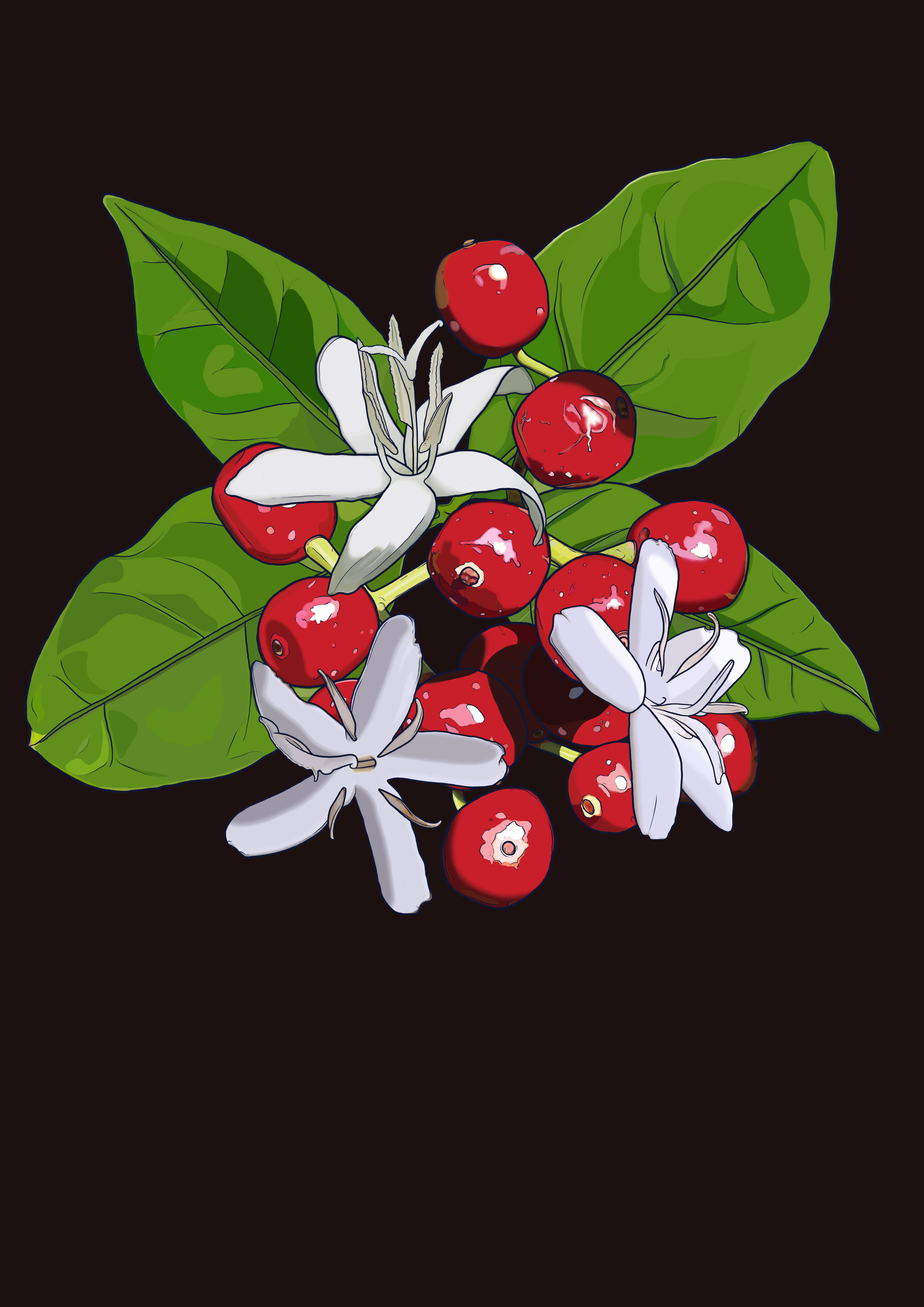 ArtStation - Coffee cherry flower
