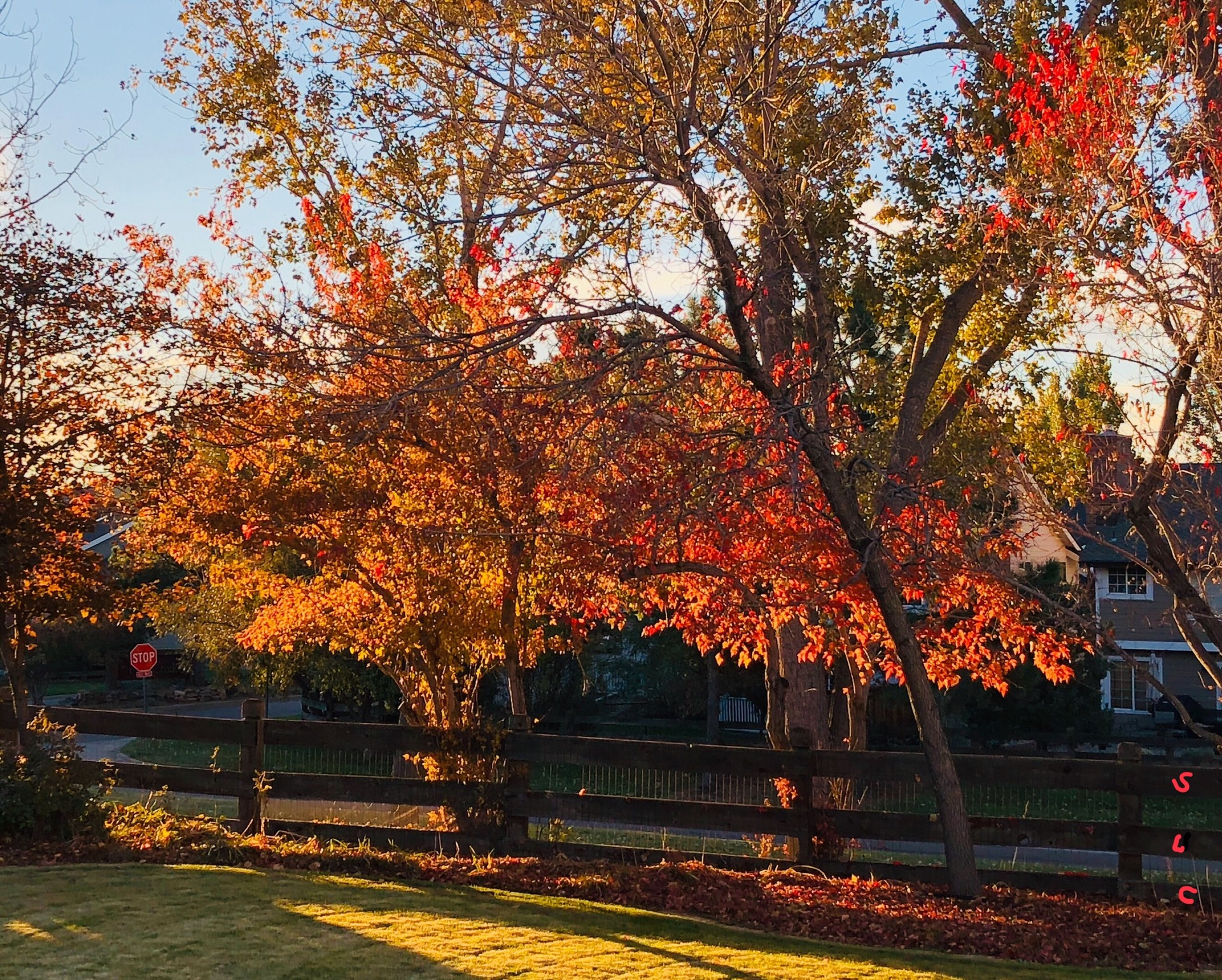 ArtStation - October Morning Light