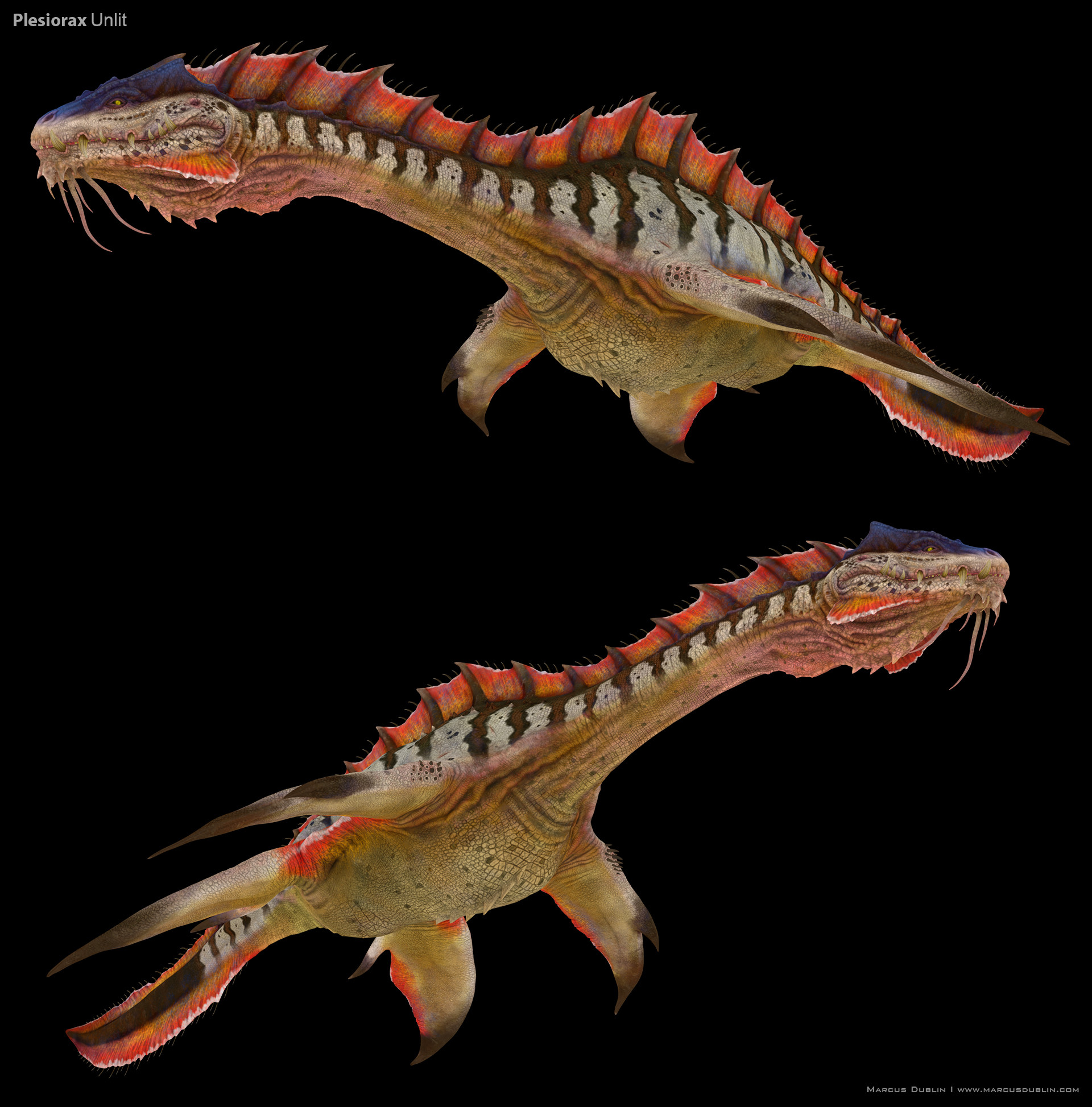 marcus-dublin-plesiorax-front-render-group-unlit-01.jpg (1920×1947)-花瓣网