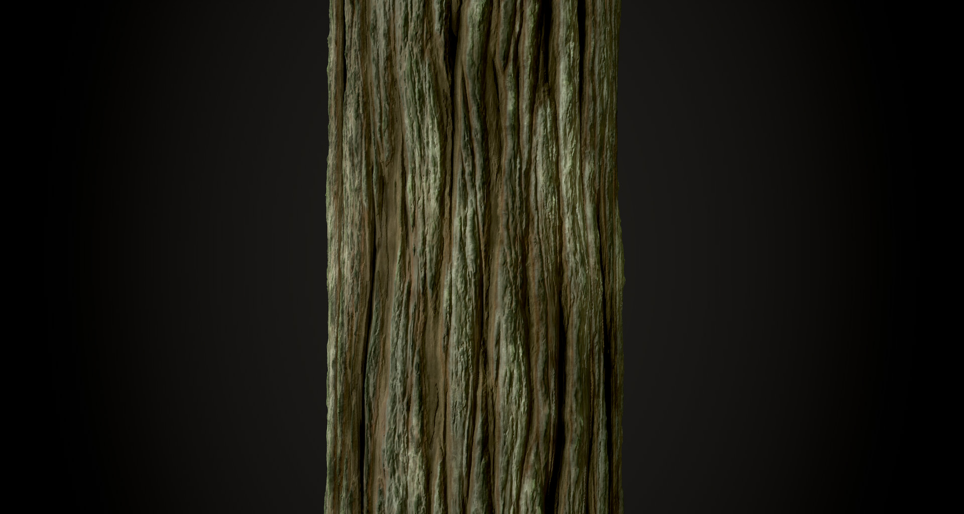 ArtStation - Swamp Tree Bark