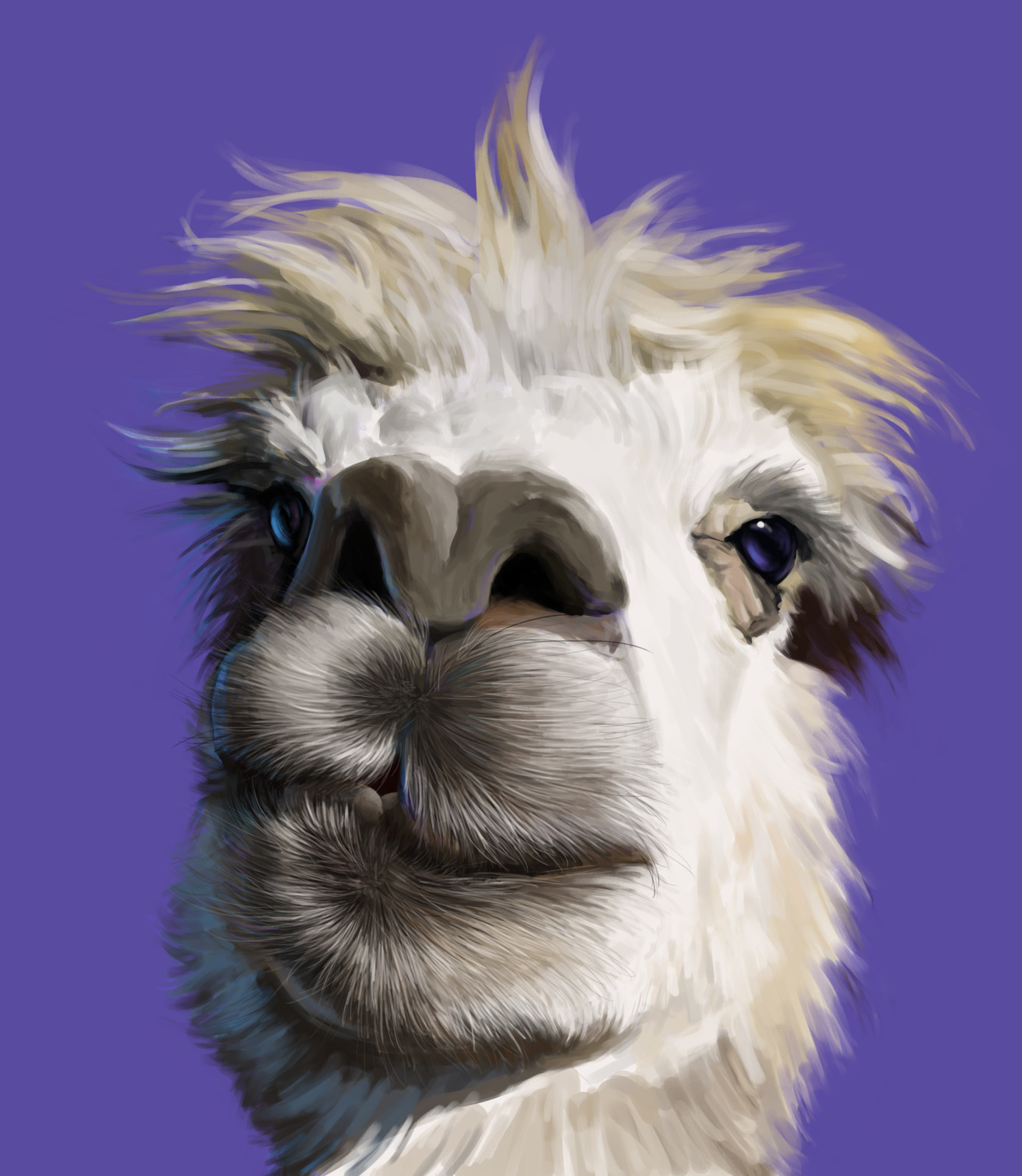 Carrots Howie - 草泥马（caonima）